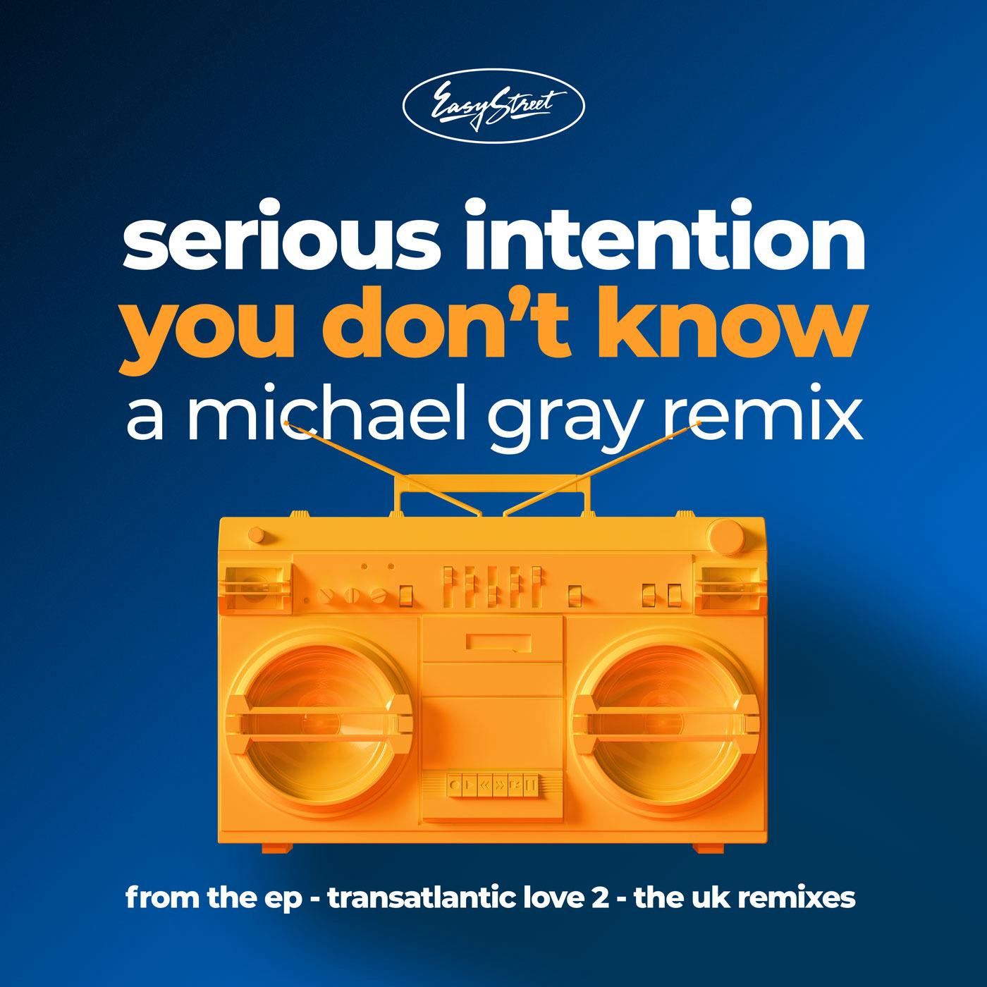 You Don't Know: A Michael Gray Remix - Serious Intention - 专辑 - 网易云音乐