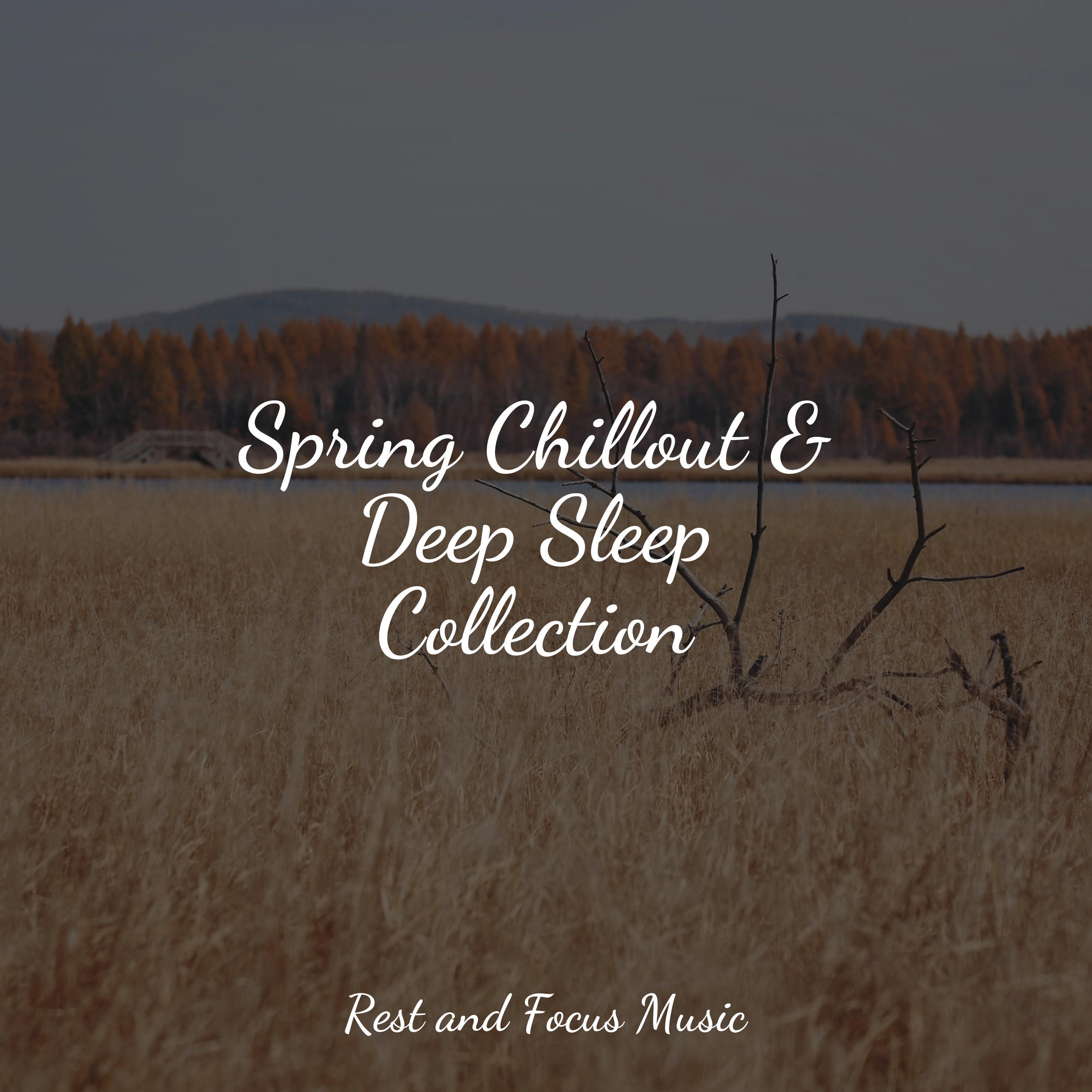 Calming Melody The Sleep Helpers Sounds Of Nature White Noise For