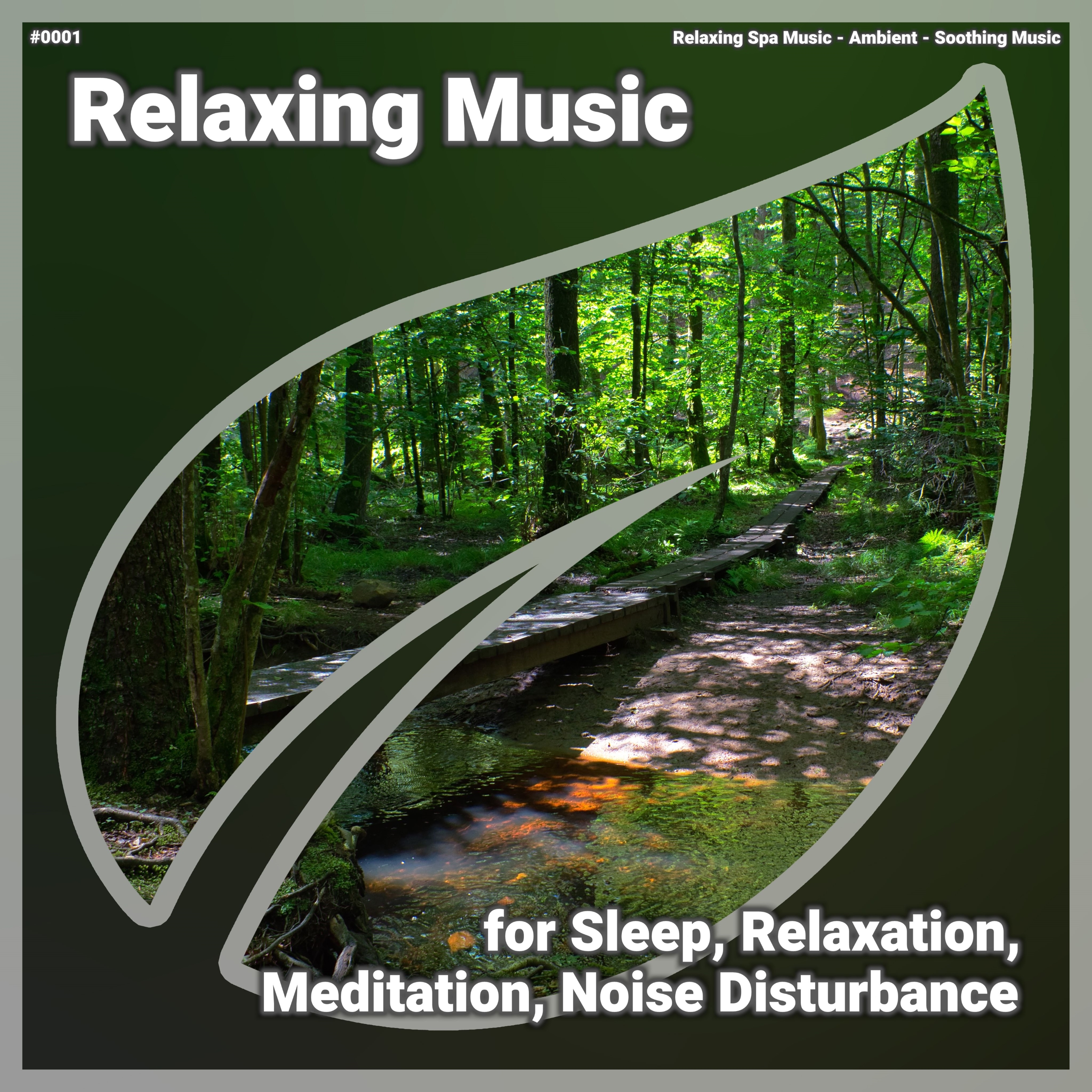Relaxing Music Pt 10 Relaxing Spa Music Ambient Soothing Music 