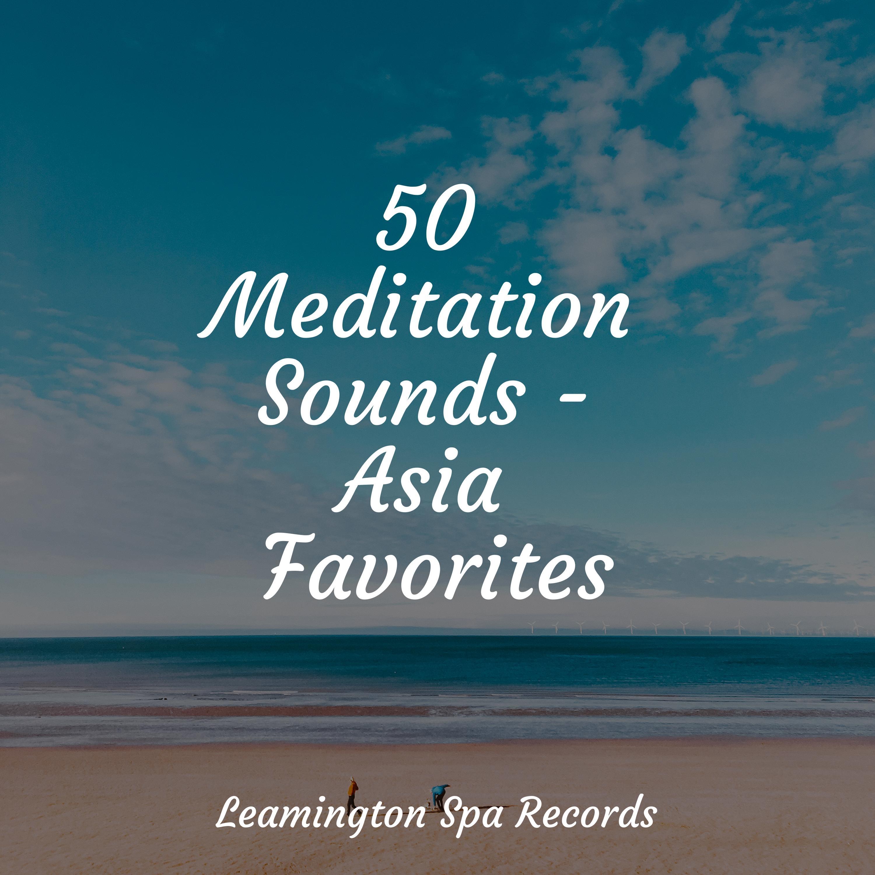 50 Meditation Sounds Asia Favorites Nature Sounds Artists 专辑 网易云音乐