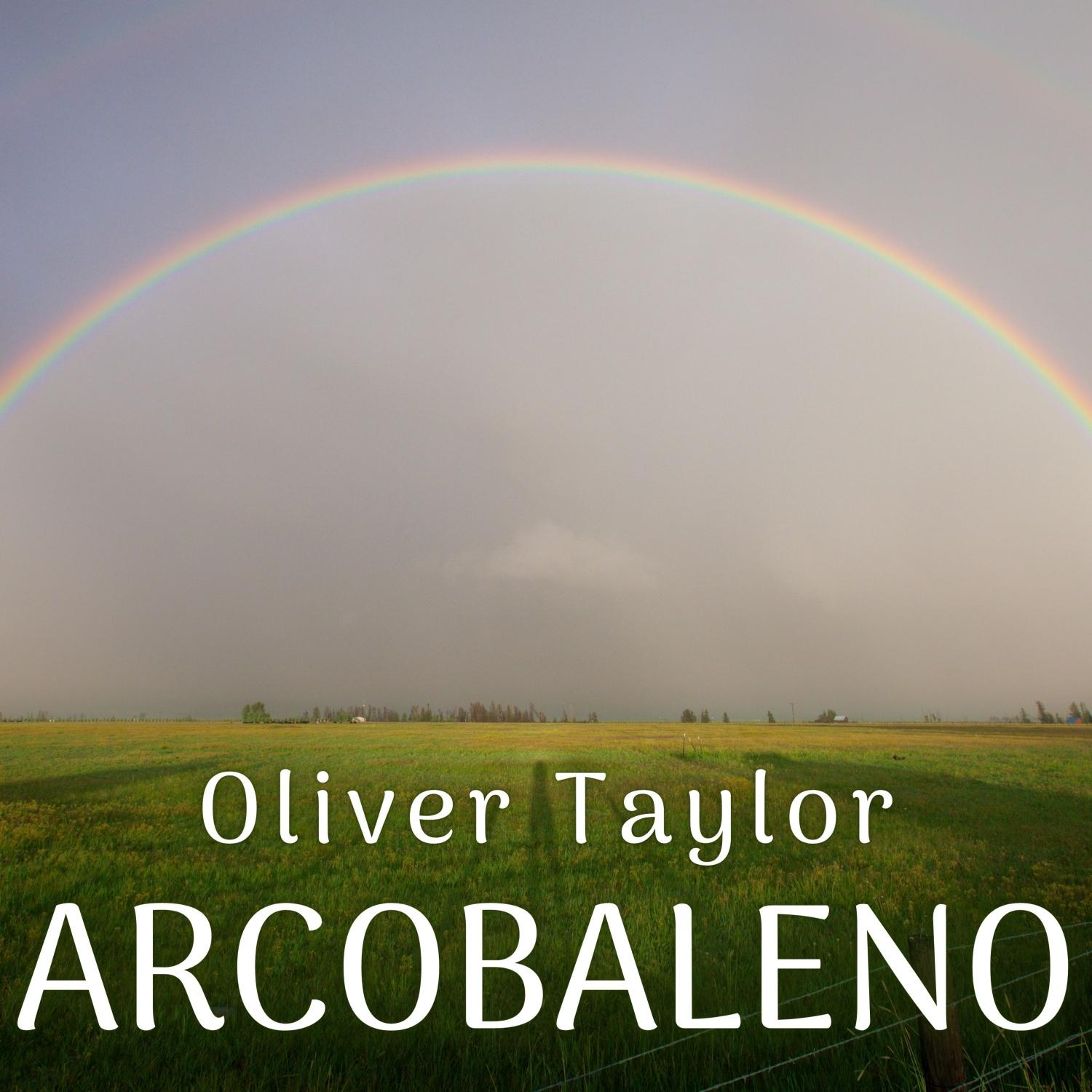 Opinioni Differenti - Oliver Taylor - 单曲 - 网易云音乐