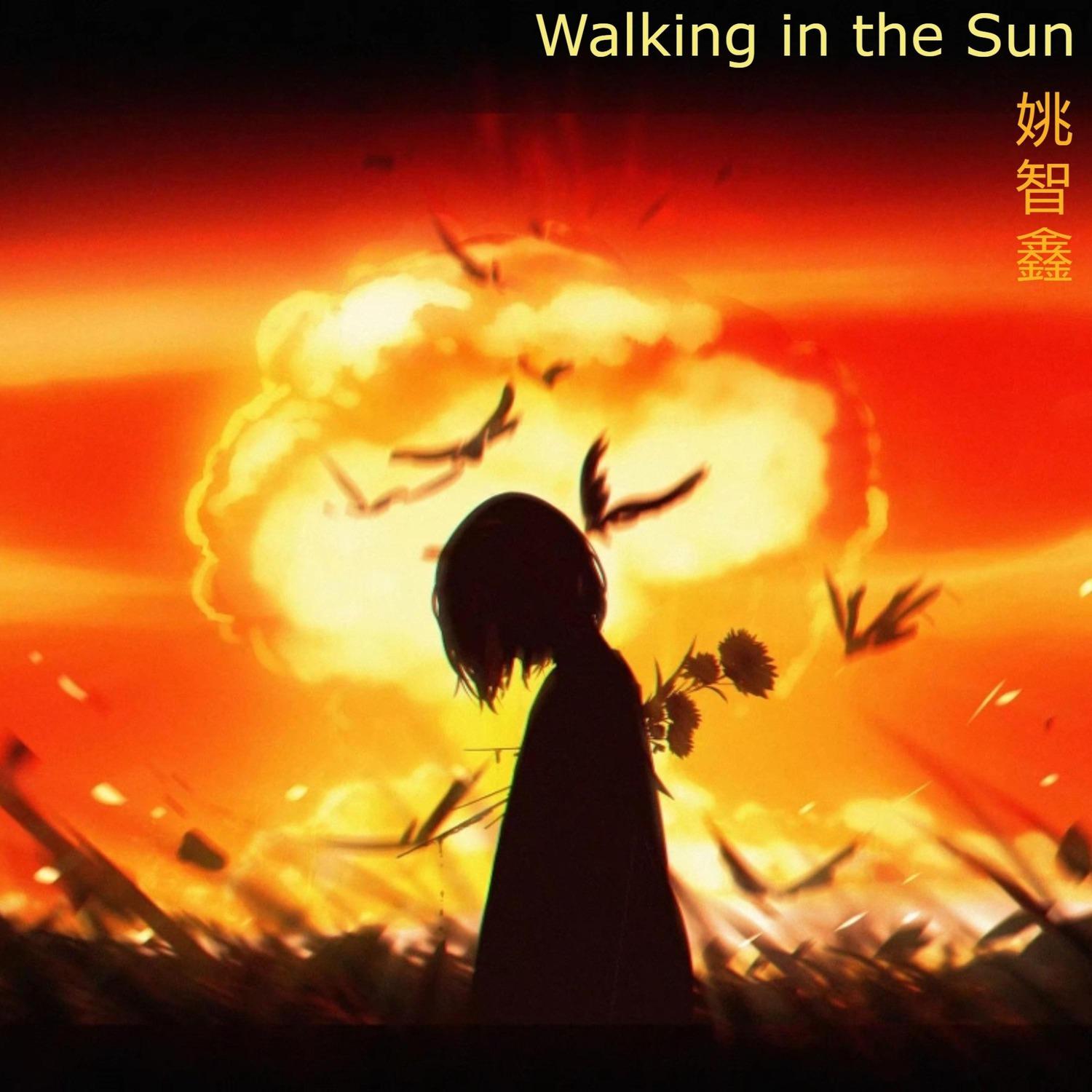 Walking in the sun - Dj Douyin Remix - 单曲 - 网易云音乐