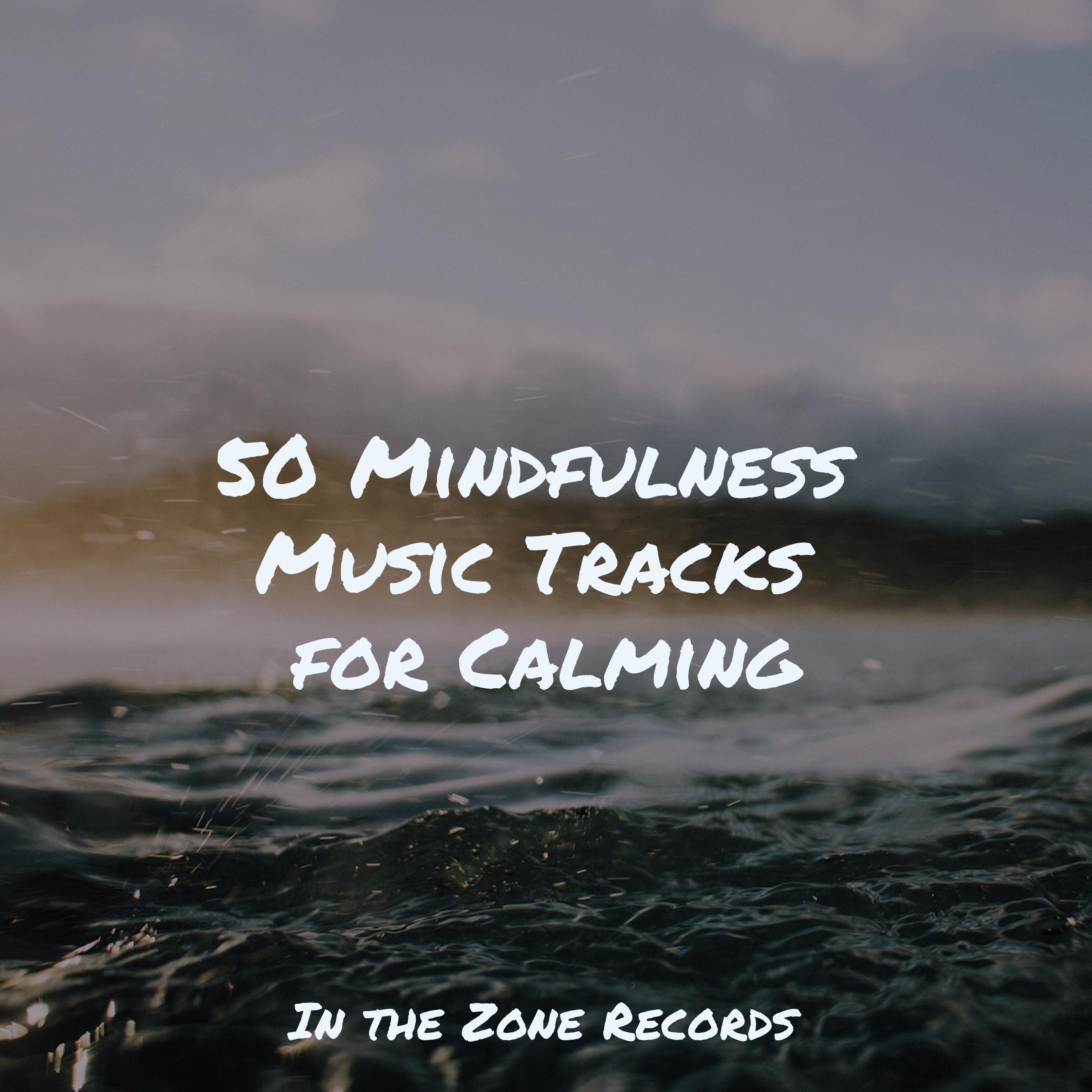 50 Mindfulness Music Tracks for Calming - Canciones De Cuna - 专辑 - 网易云音乐