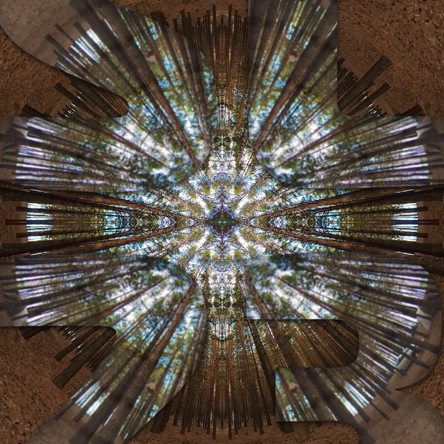 Spring Melody (Live) - Ethnopsyx - 单曲 - 网易云音乐