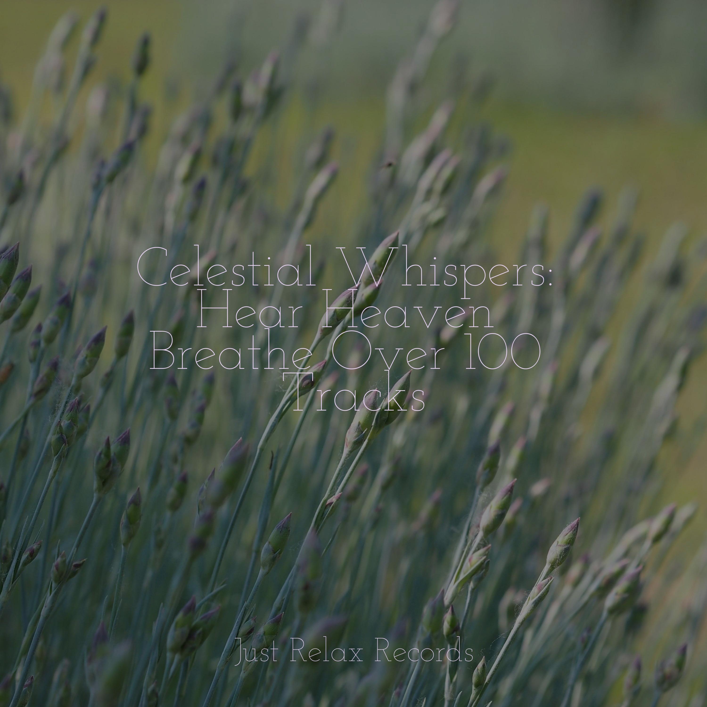 Melancholys Mystical Grin Nature Sound Collection Yoga Namaste