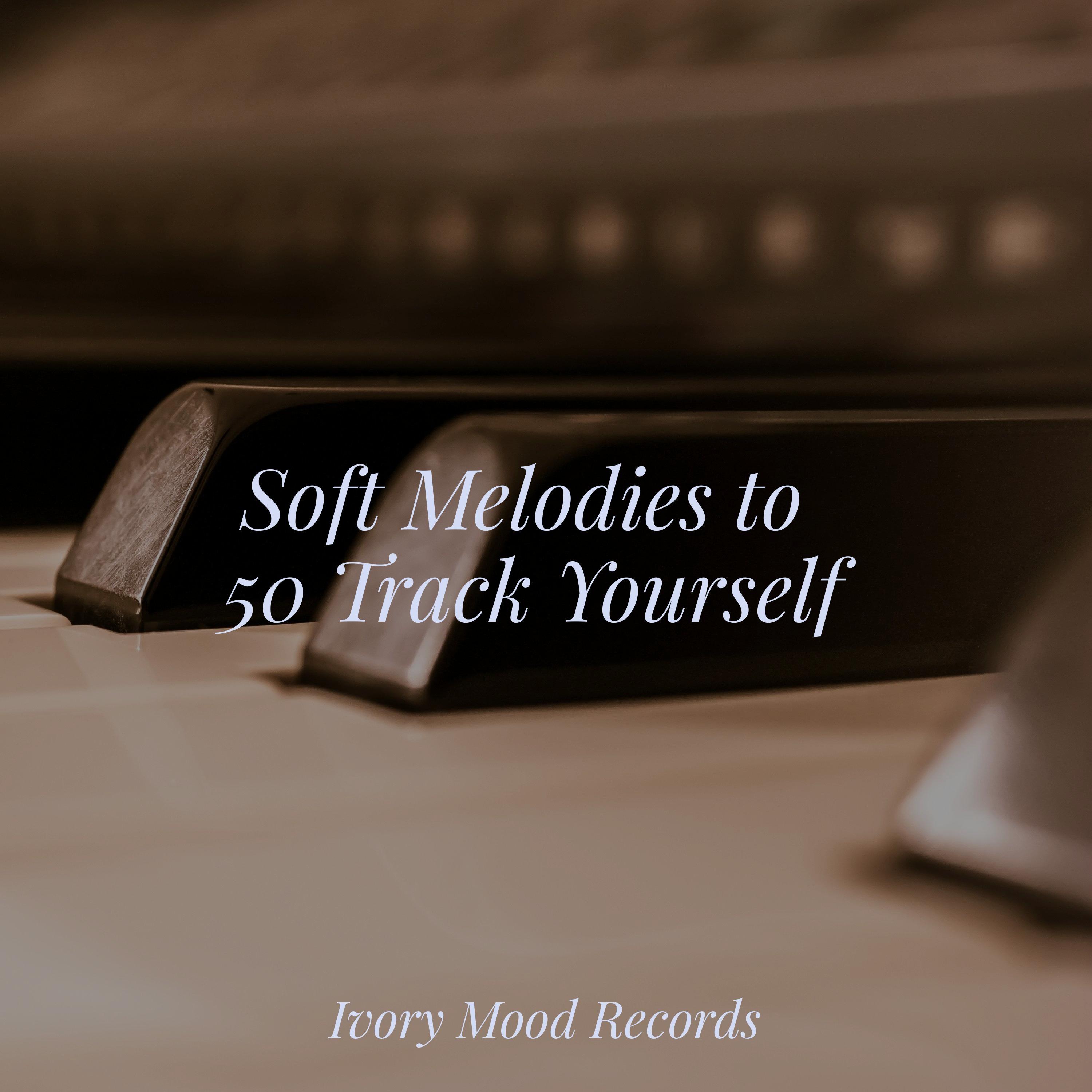 Soft Melodies to 50 Track Yourself - Musica Para Meditar - 专辑 - 网易云音乐