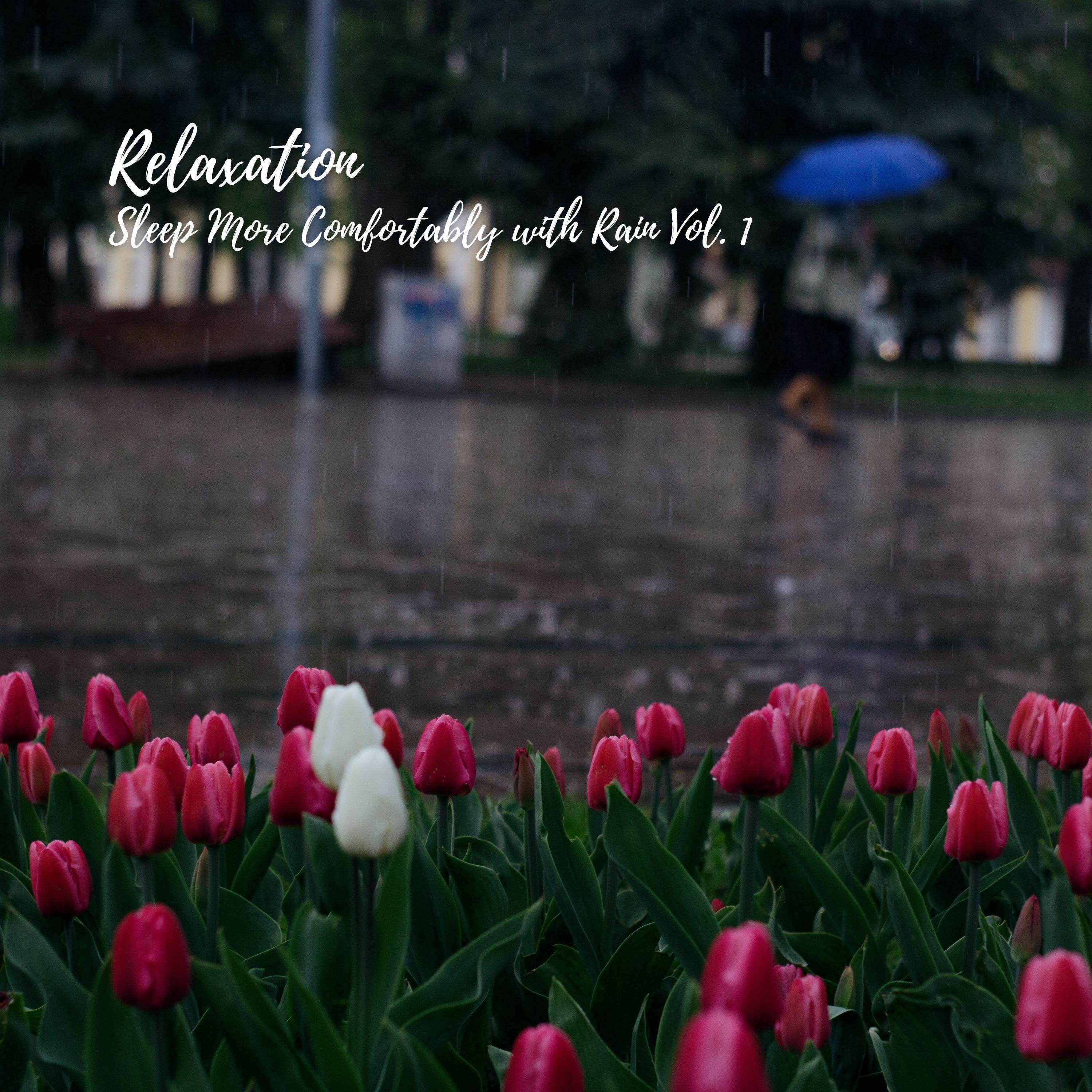 Rain Sky Harmony - Classic Jazz/Nature Vibrations/Soft Jazz Band - 单曲 ...