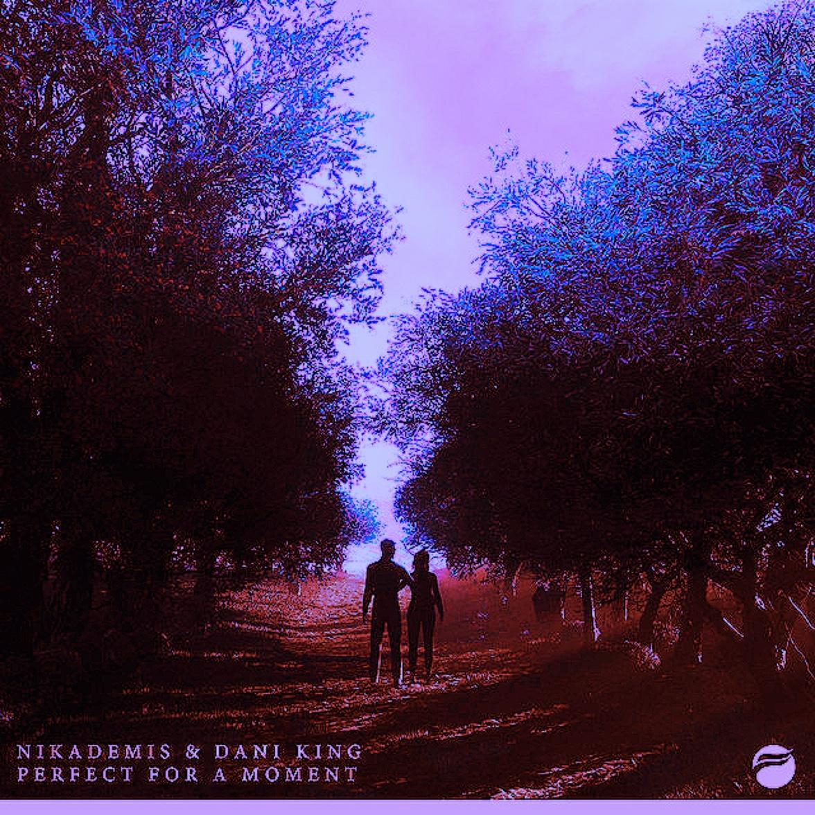 Alan Walker x Nikademis- Alone x Perfect For A Moment (Karmaxis Mashup) - RØE Fᵉᵉˡˢ Radio - 电台节目 ...