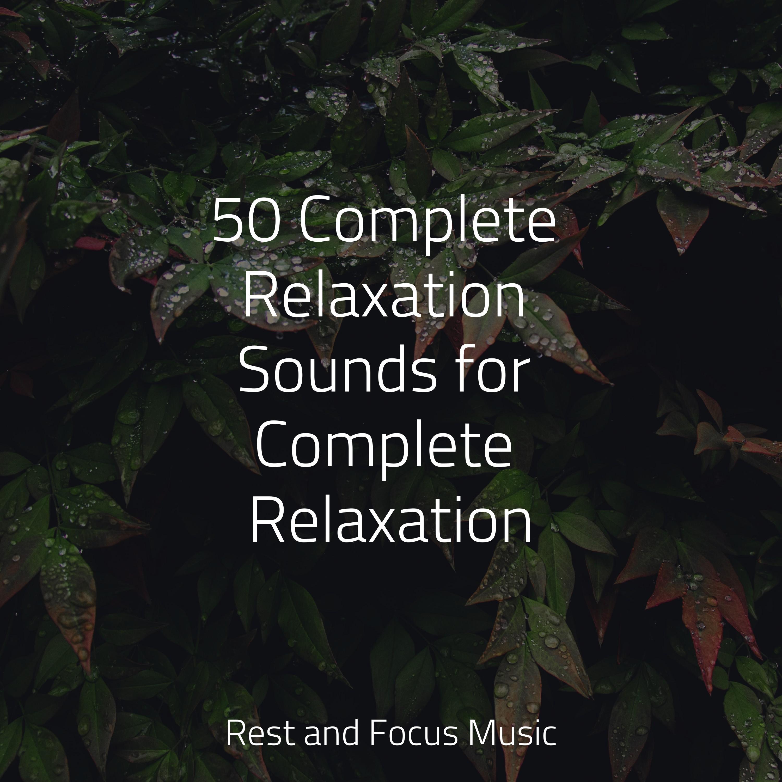 50 Complete Relaxation Sounds for Complete Relaxation - Música Zen Relaxante - 专辑 - 网易云音乐