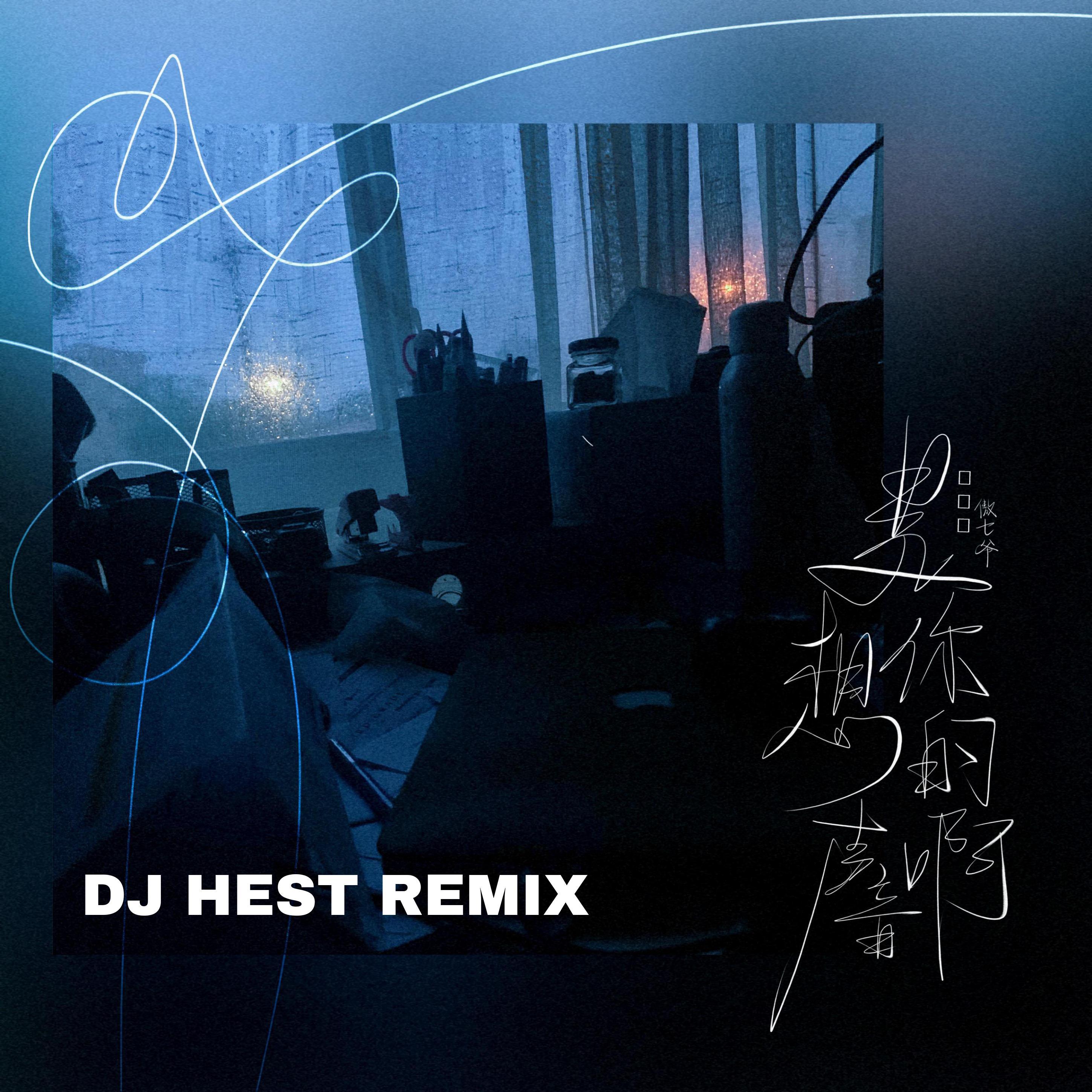 傲七爷 是想你的声音啊 Dj Hest版 (hest Remix) Hest 单曲 网易云音乐