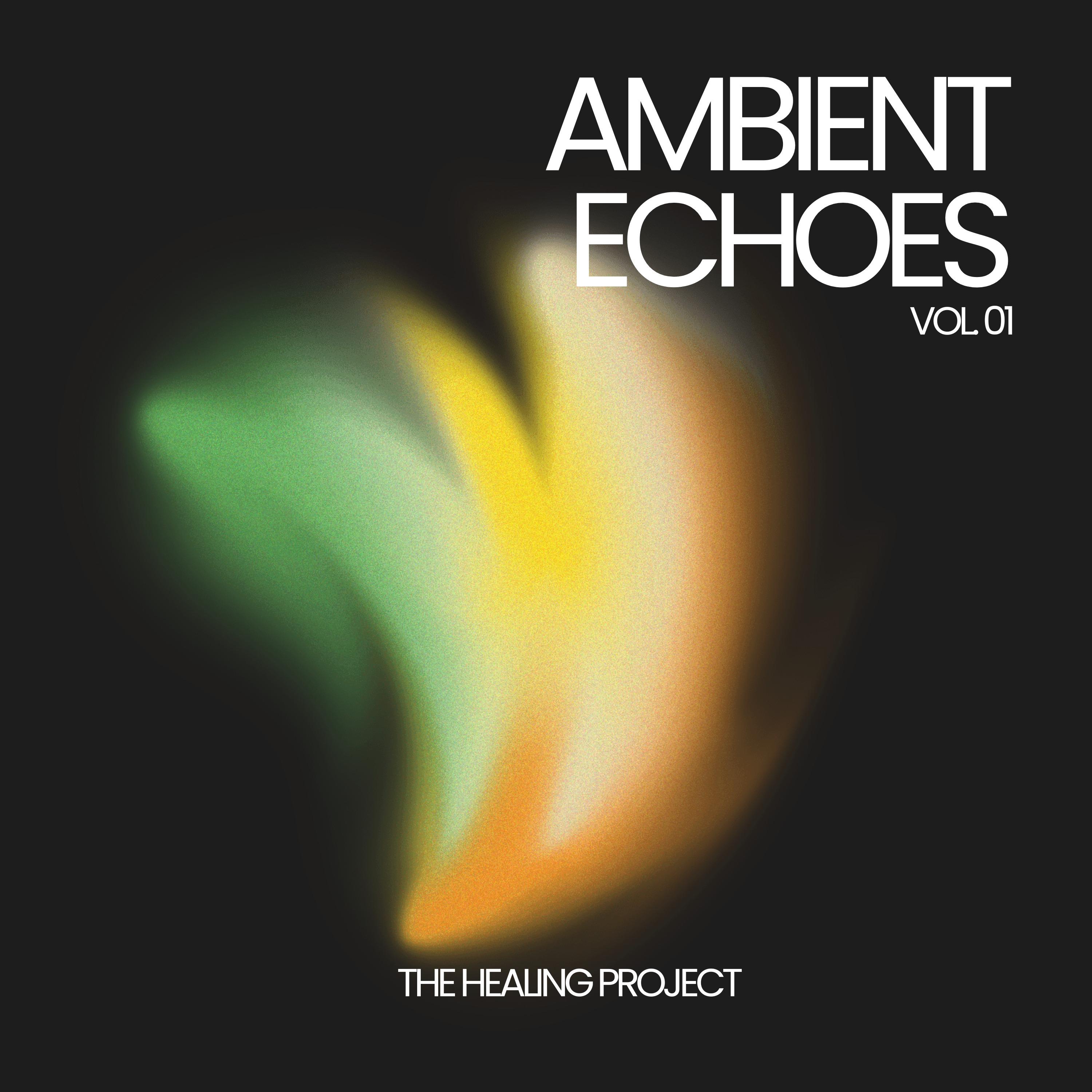 Ambient Echoes, Vol. 01 - The Healing Project - 单曲 - 网易云音乐