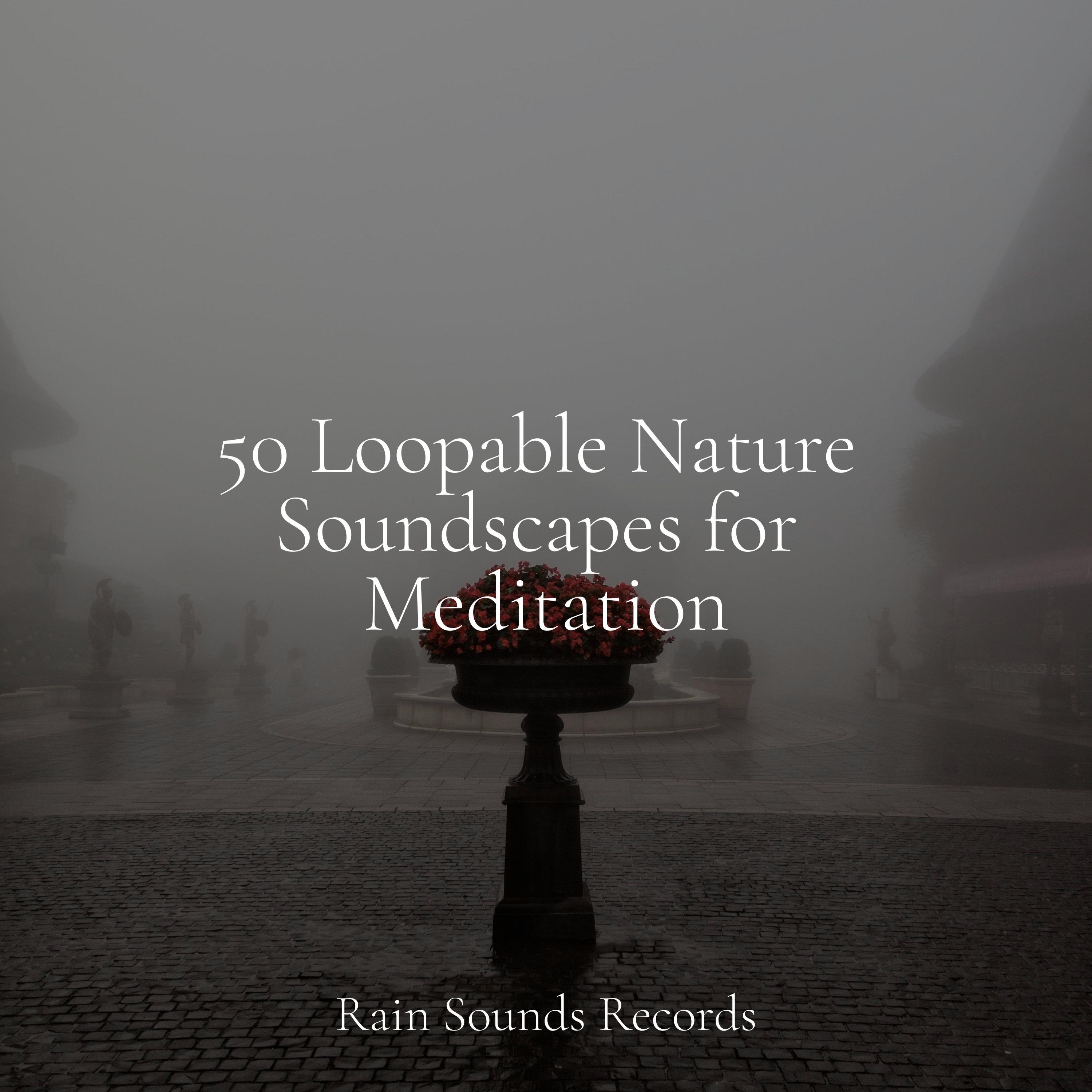 50 Loopable Nature Soundscapes For Meditation Naturaleza Sonidos 专辑