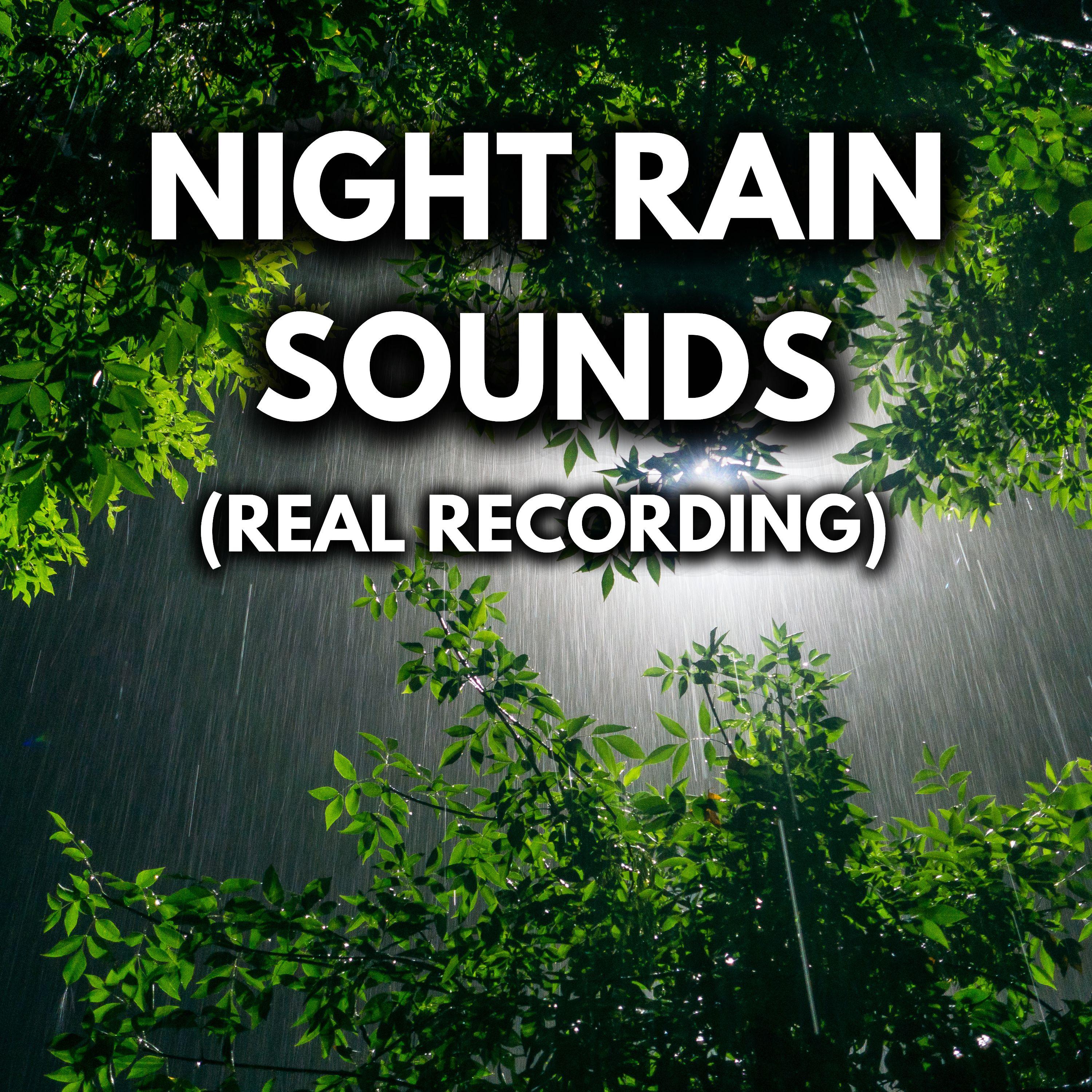 Rain Sound White Noise Baby - Nature Sounds for Sleep and Relaxation/White Noise For Sleeping ...