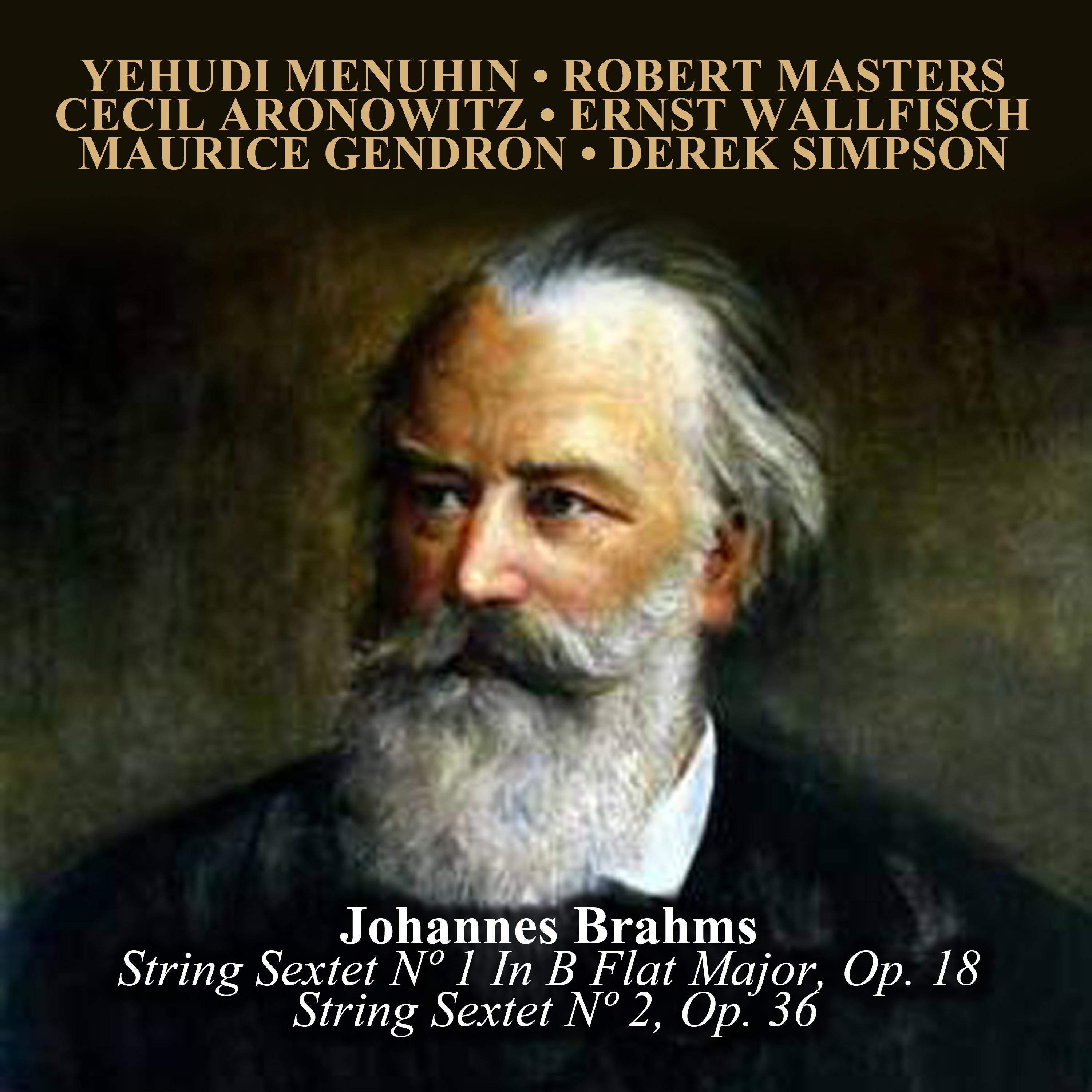 Johannes Brahms: String Sextet Nº 1 In B Flat Major, Op. 18 / String Sextet Nº 2, Op. 36 ...