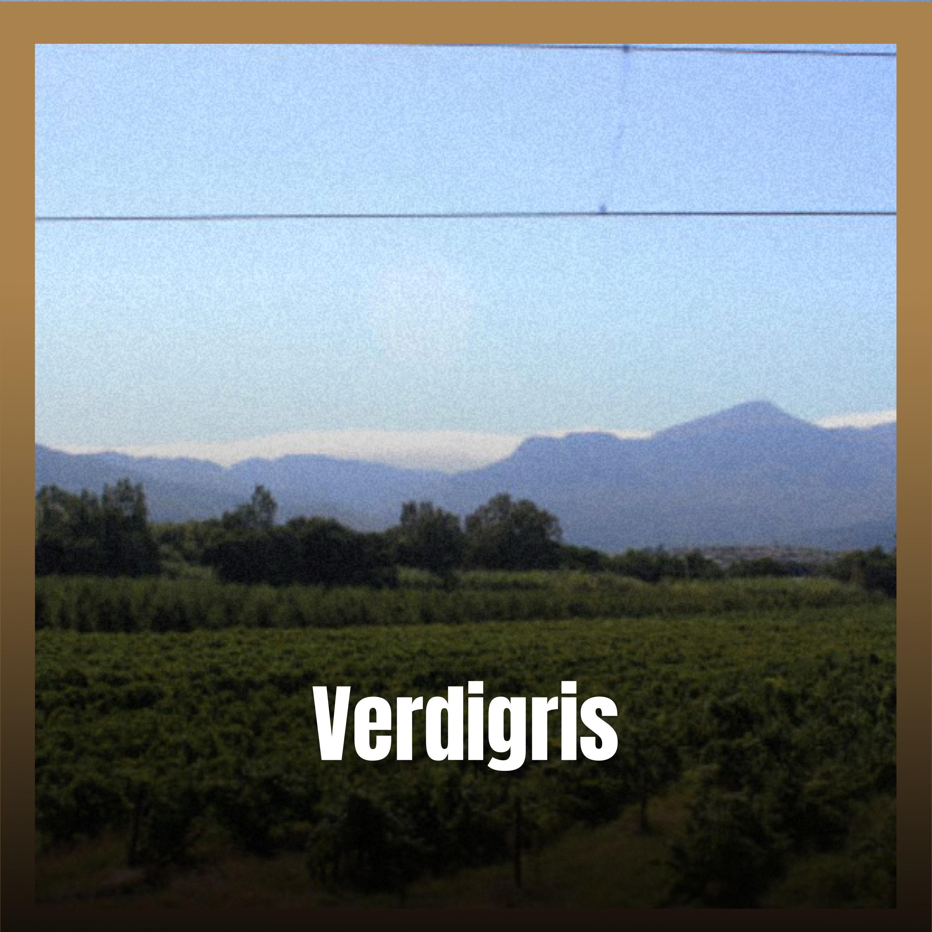 Verdigris - Various Artists - 专辑 - 网易云音乐