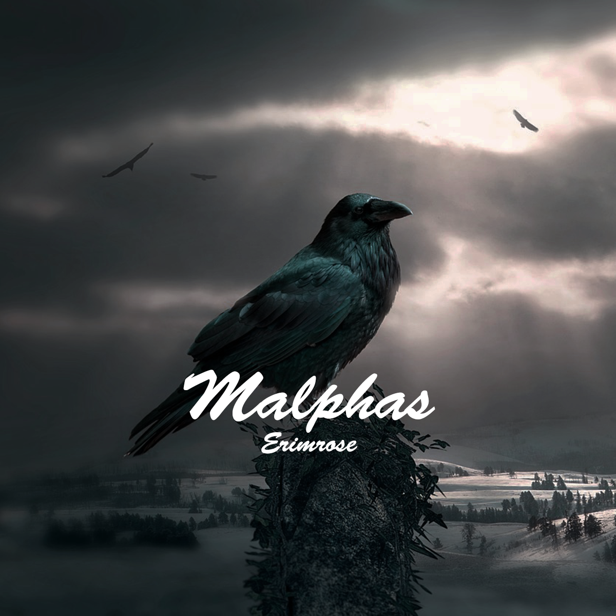 Malphas - Erimrose（Echo primrose，Nifloght） - 专辑 - 网易云音乐