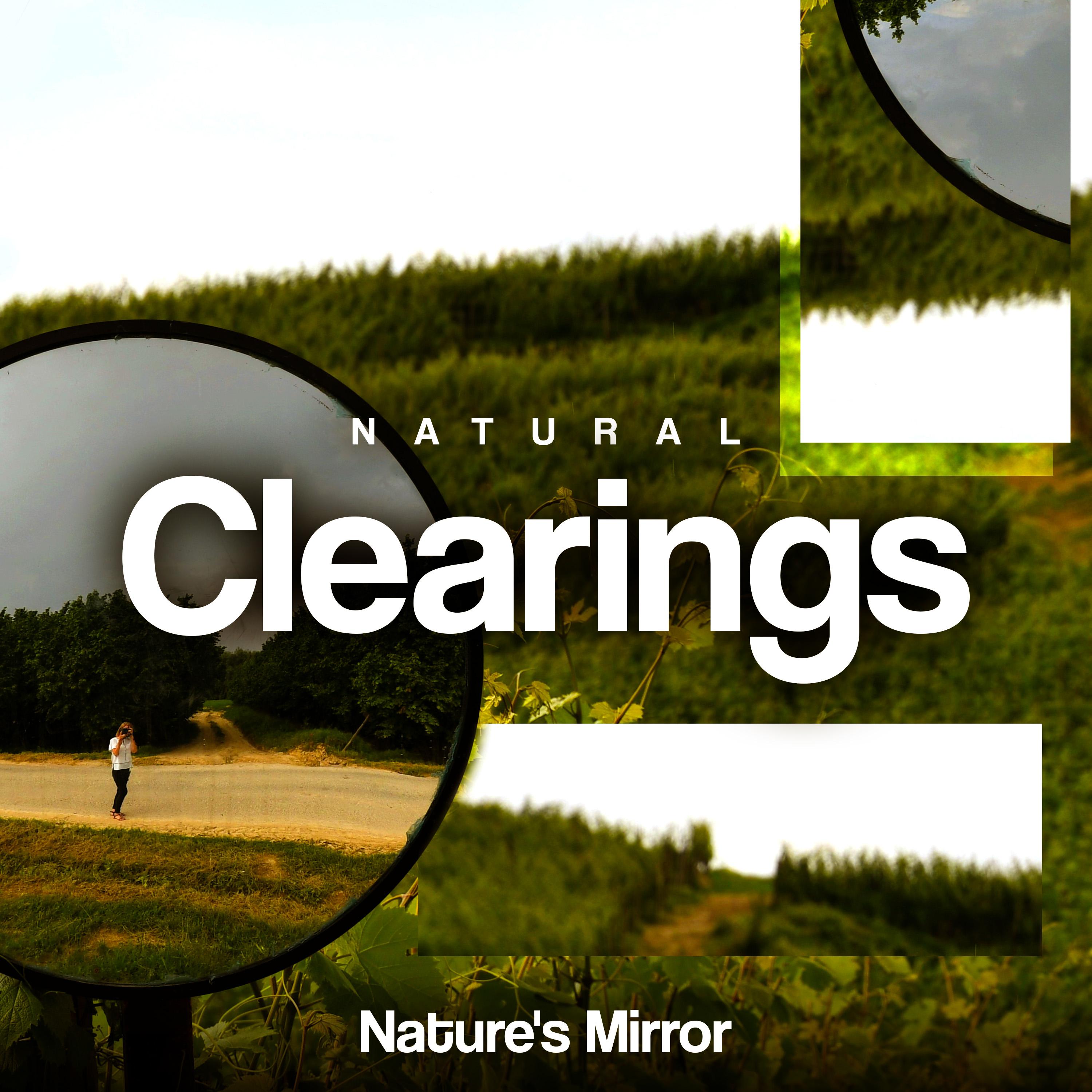 Ok Behaviour - Nature's Mirror - 单曲 - 网易云音乐