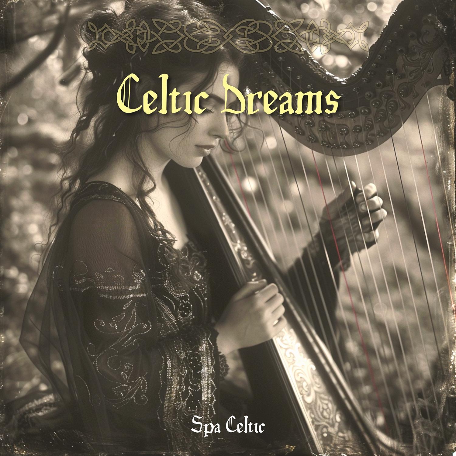 Live the Moment - Spa Celtic - 单曲 - 网易云音乐