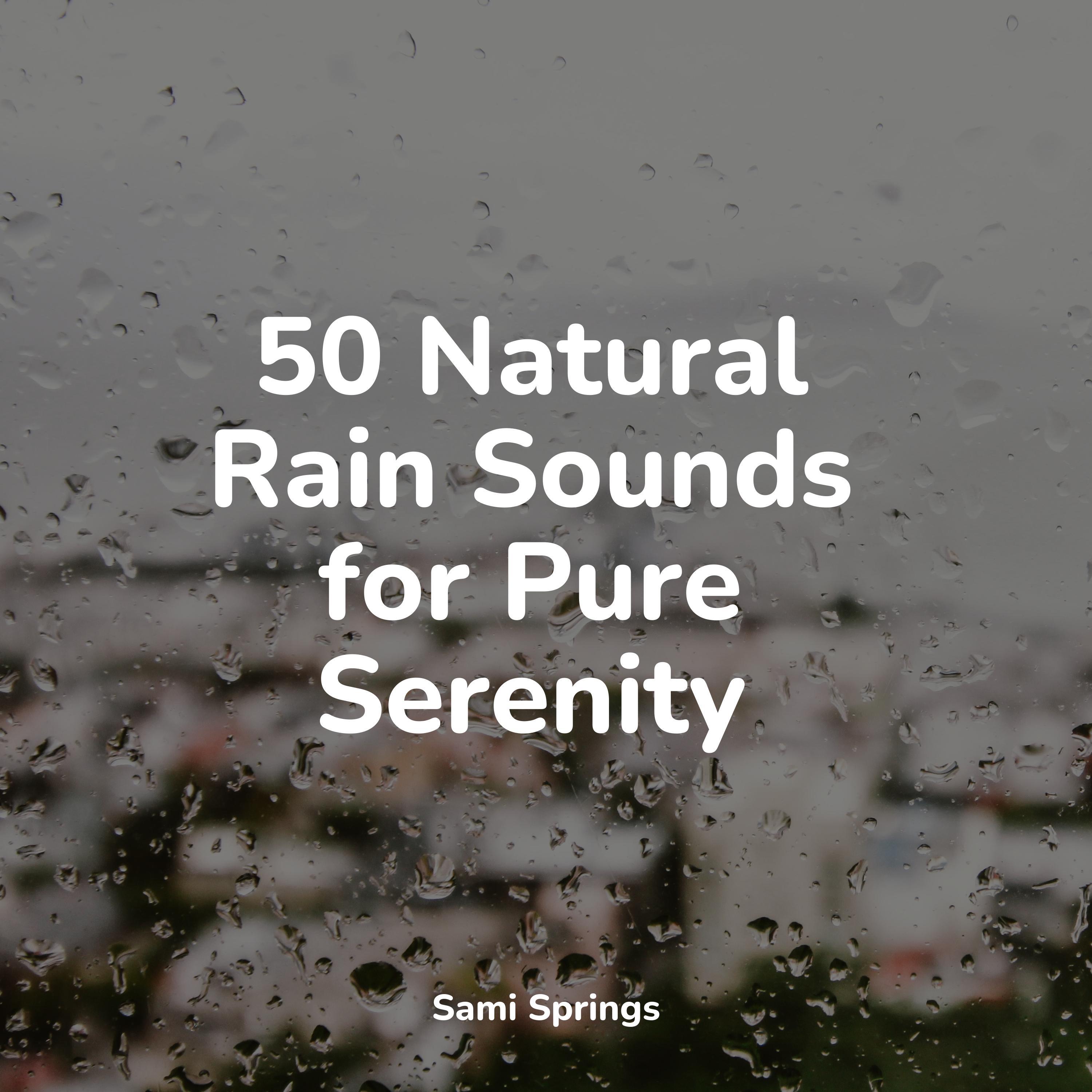 50 Peaceful Nature Sounds For Meditation Spa Relaxation 专辑 网易云音乐