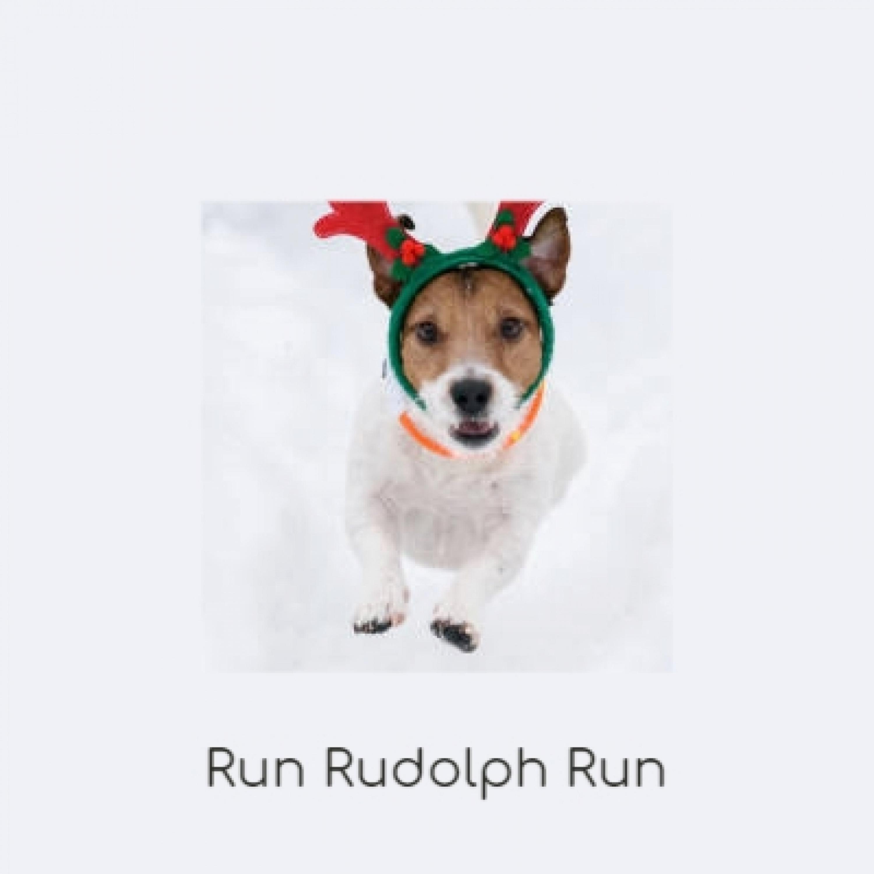 Run Rudolph Run - Various Artists - 专辑 - 网易云音乐