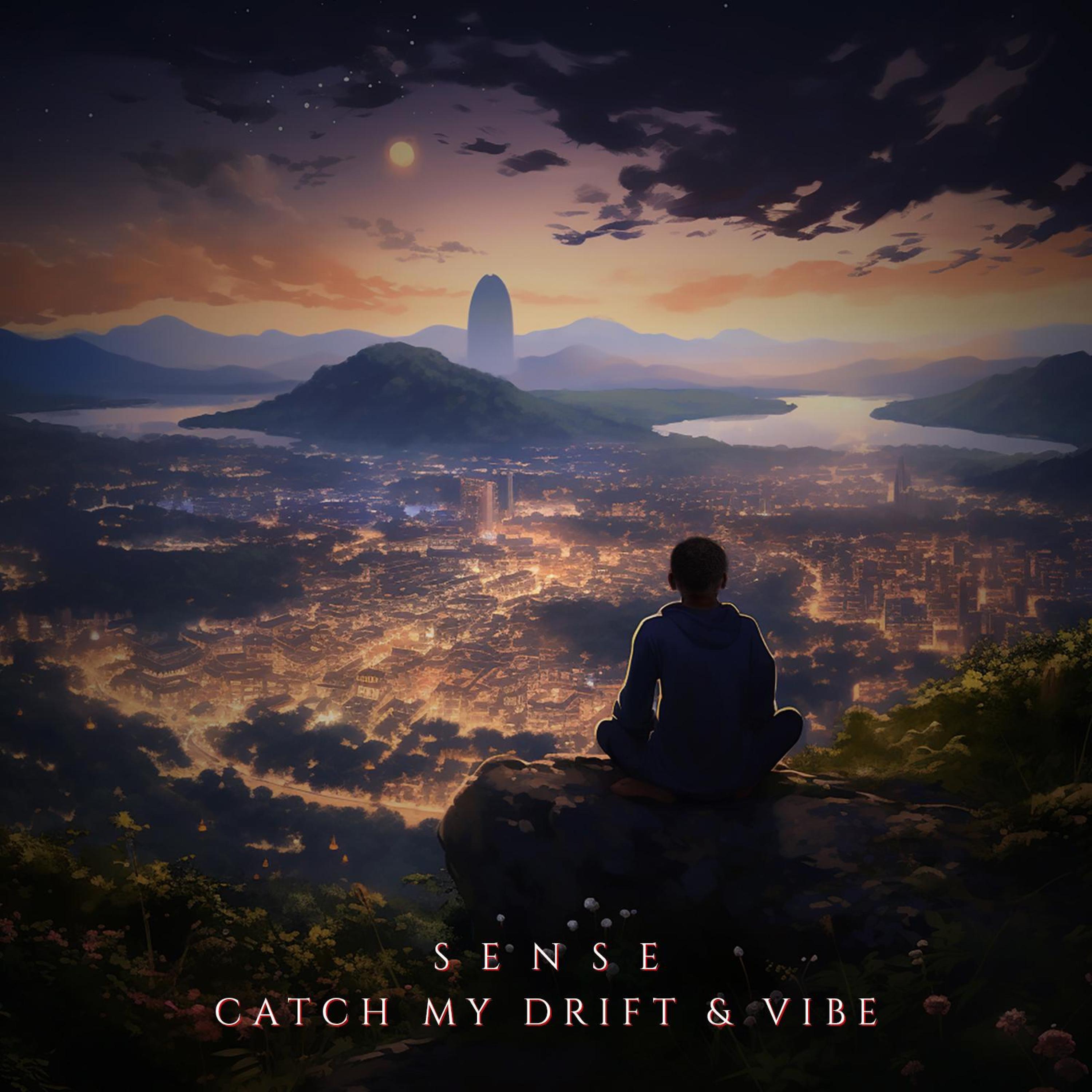 Catch My Drift & Vibe - Sense - 专辑 - 网易云音乐