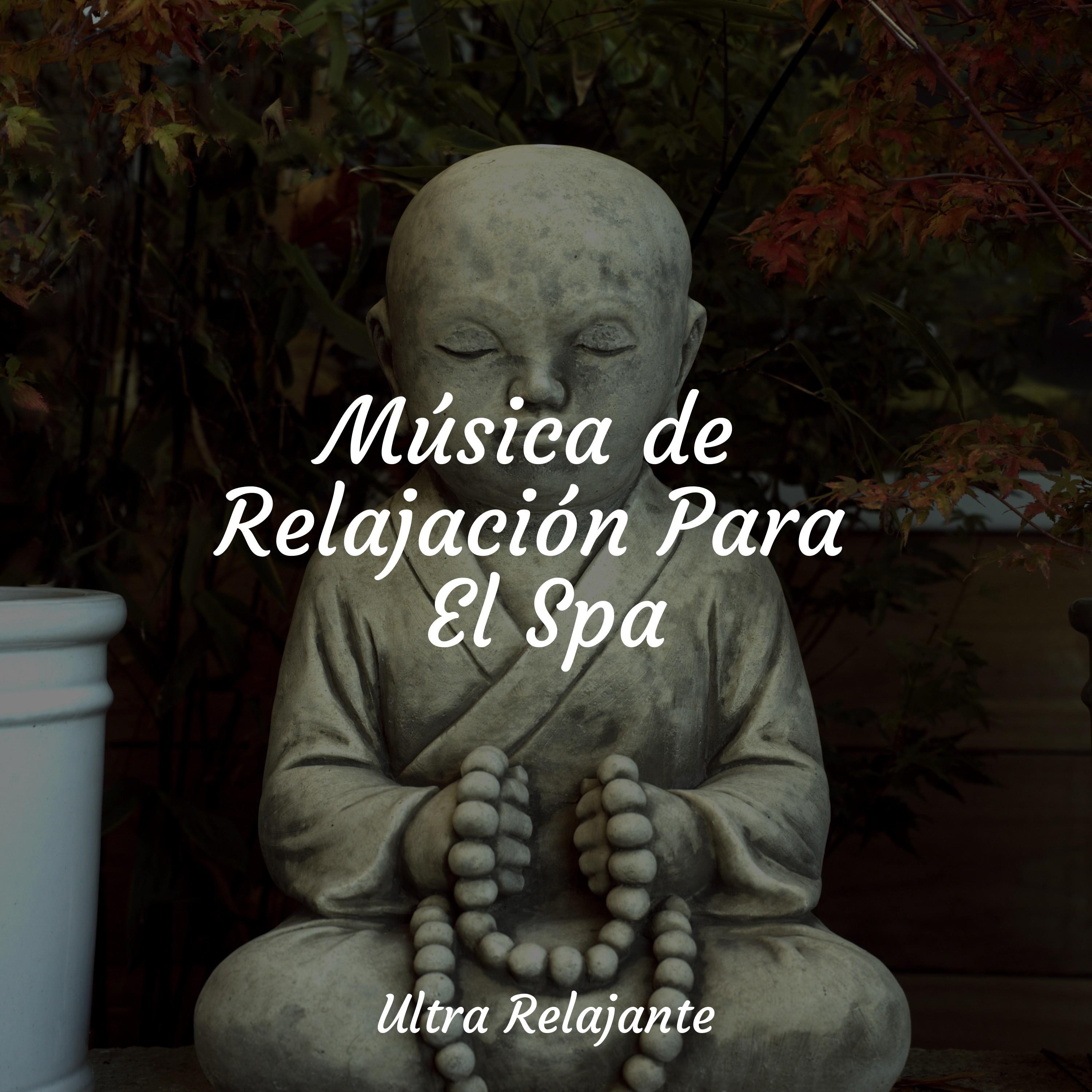 El Mejor Amanecer Academia De Música Para Massagem Relaxamento Musica