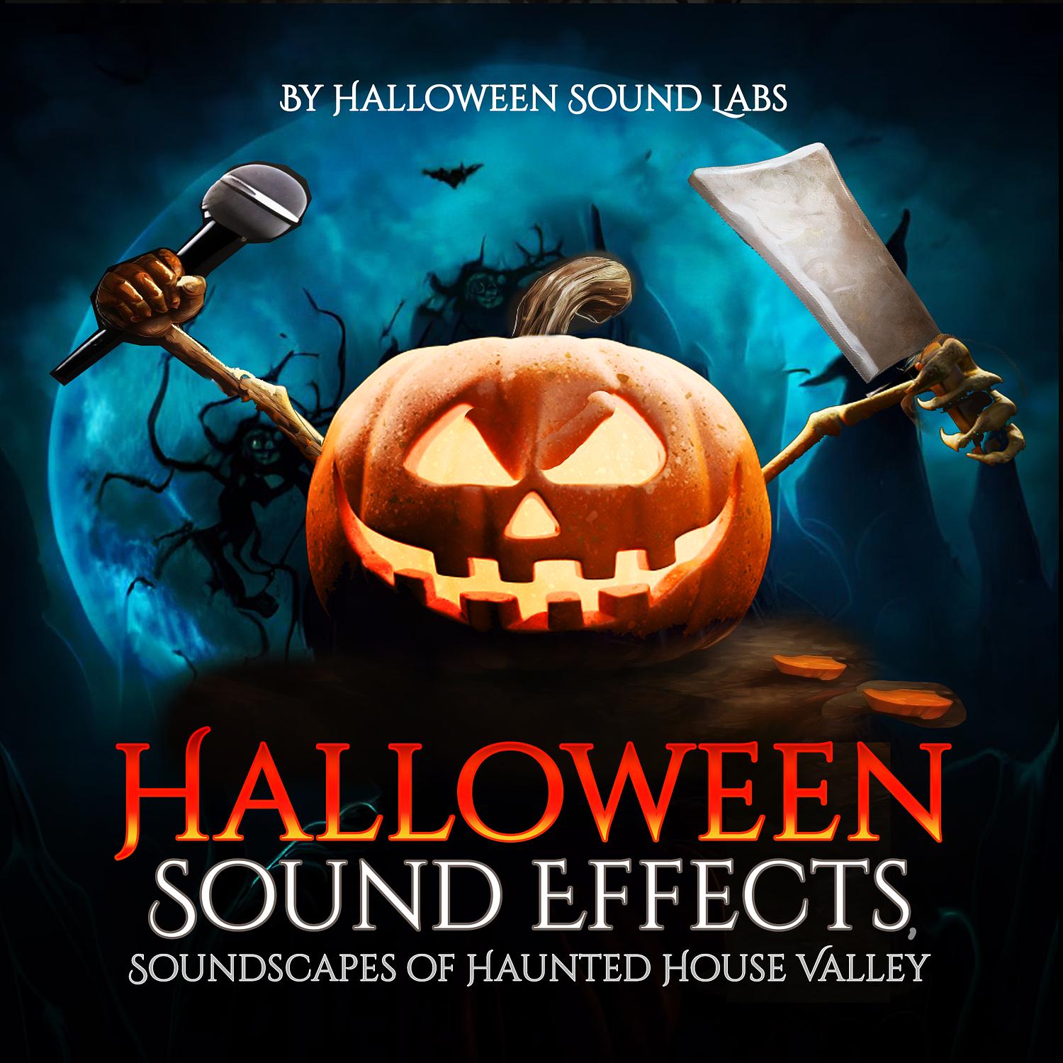 Halloween Sound Effects, Soundscapes of Haunted House Valley ...