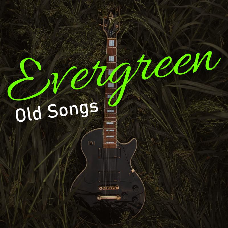 Evergreen Old Songs - Various Artists - 专辑 - 网易云音乐