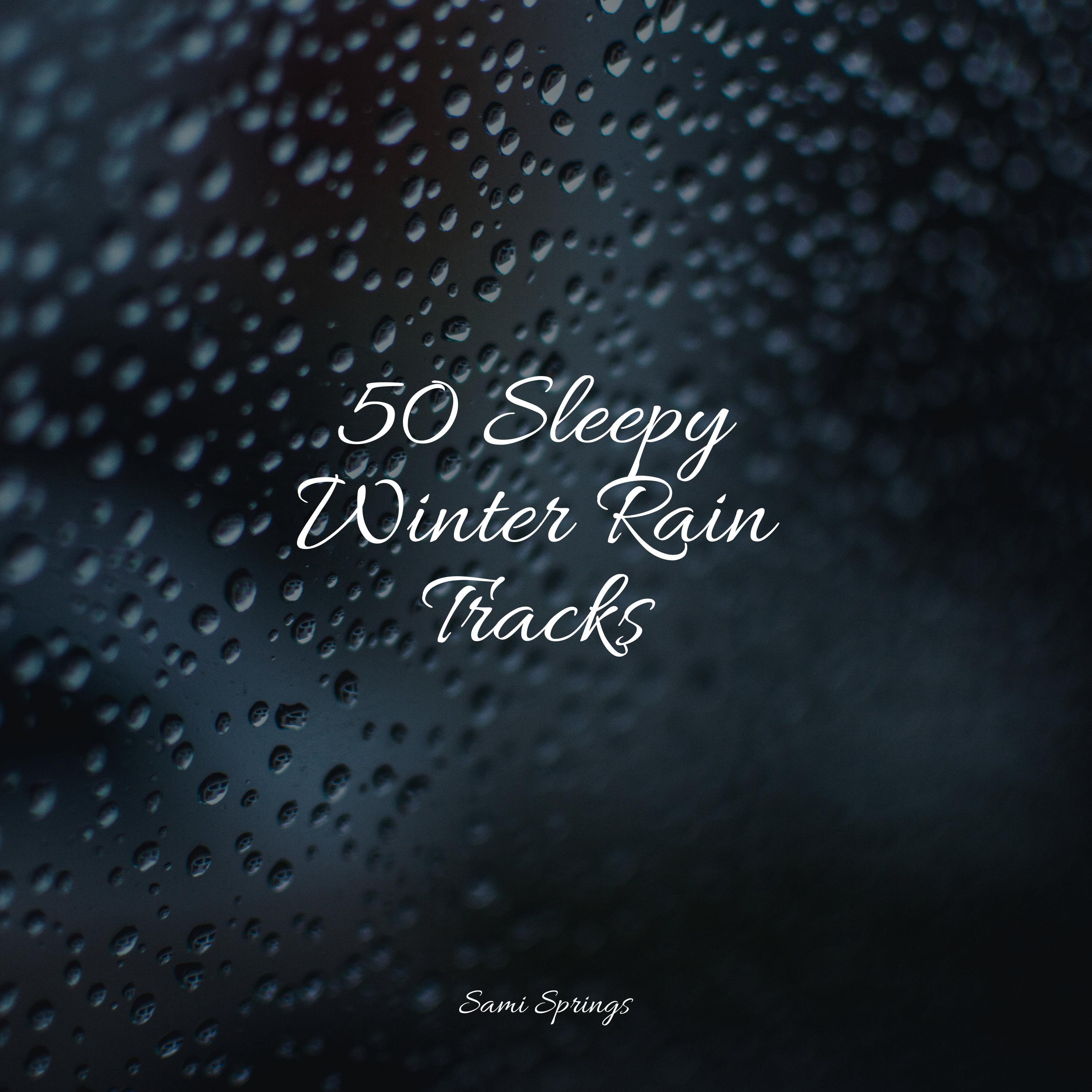 50 Sleepy Winter Rain Tracks Nature Music Pregnancy Academy 专辑 网易云音乐