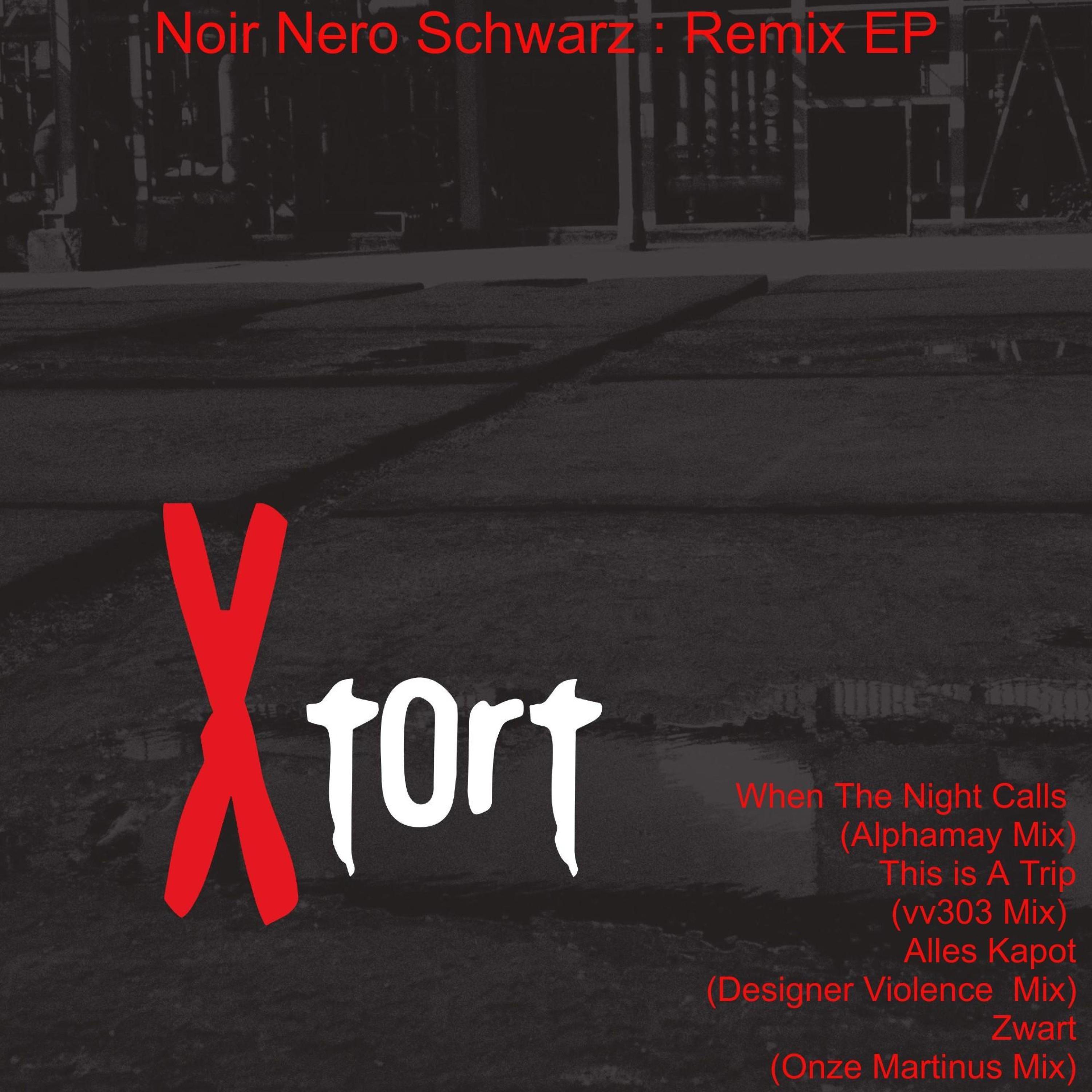 When The Night Calls (Alphamay Mix) (feat. Alphamay) - Xtort/Alphamay - 单曲 - 网易云音乐
