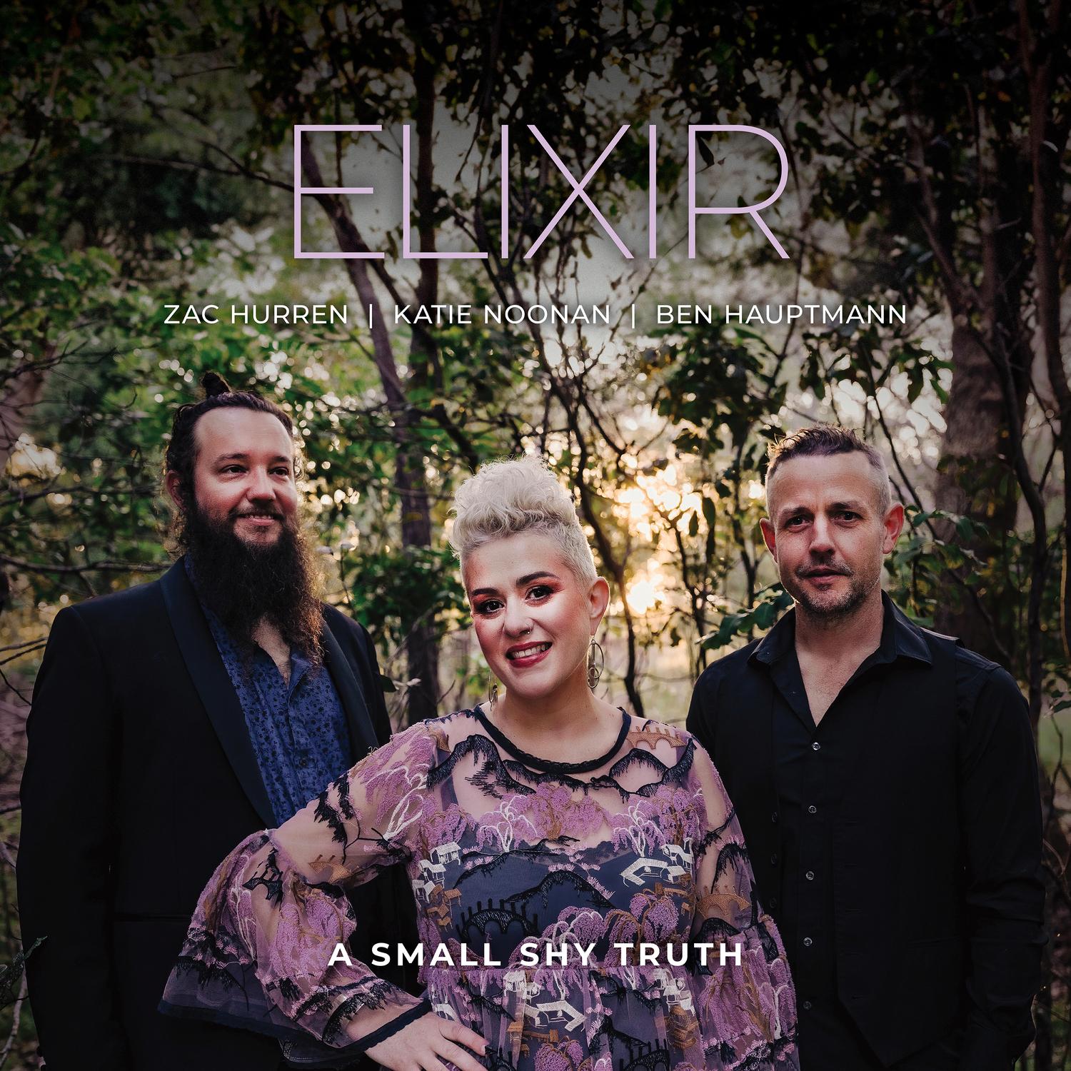 A small shy truth - Elixir/Katie Noonan/Zac Hurren/Ben Hauptmann - 单曲 - 网易云音乐