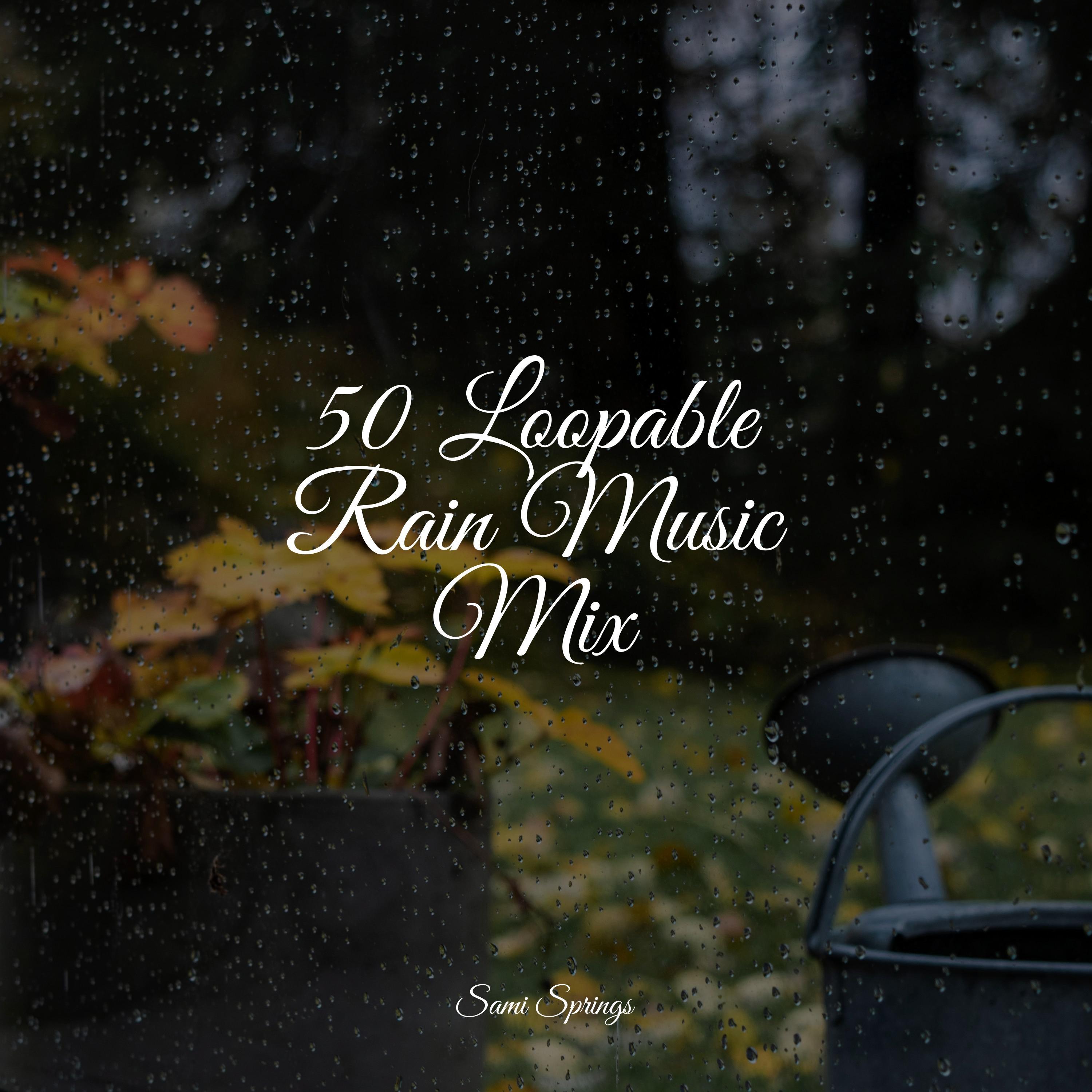 50 Loopable Rain Music Mix Nature Sounds Xle Library 专辑 网易云音乐
