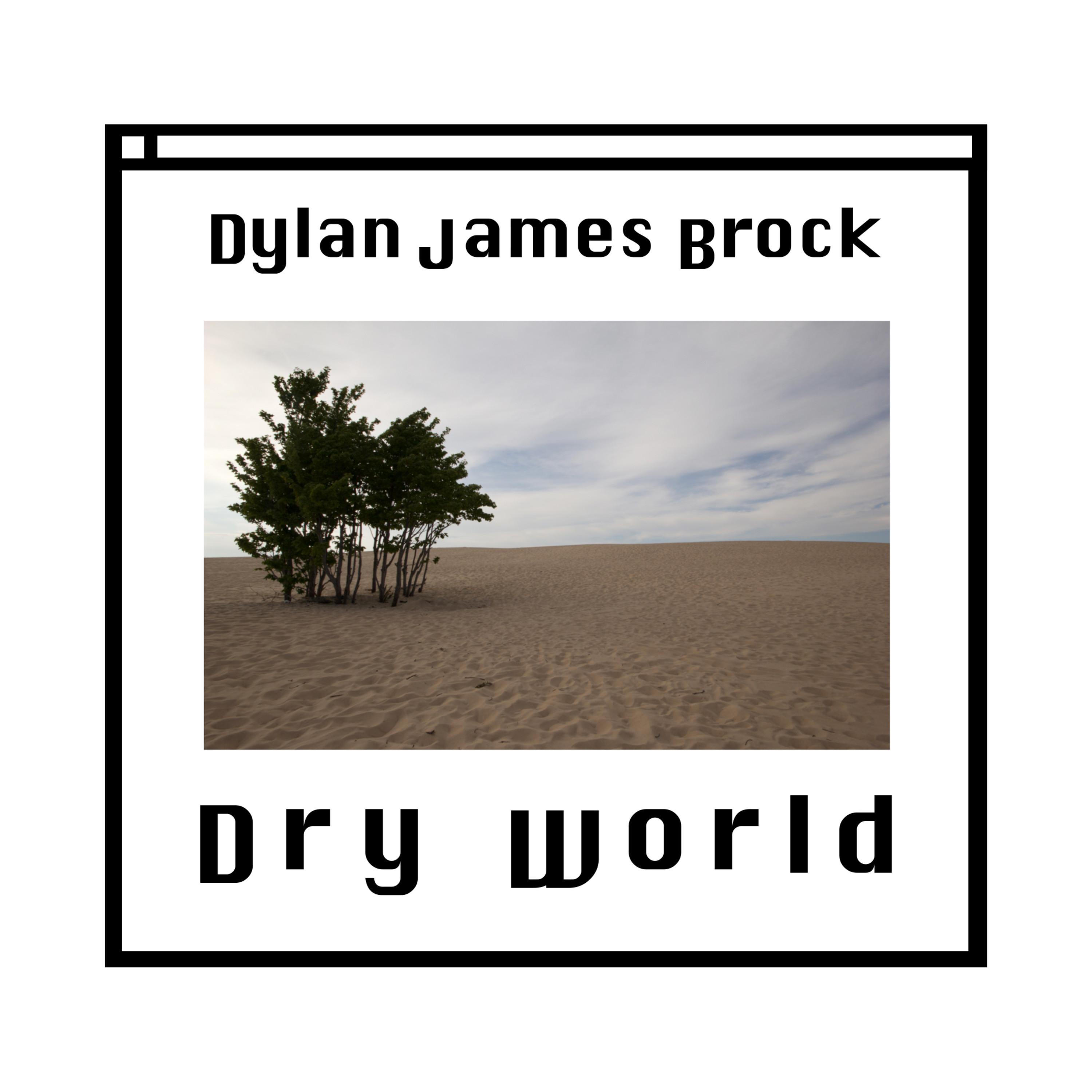 Undone - Dylan James Brock - 单曲 - 网易云音乐