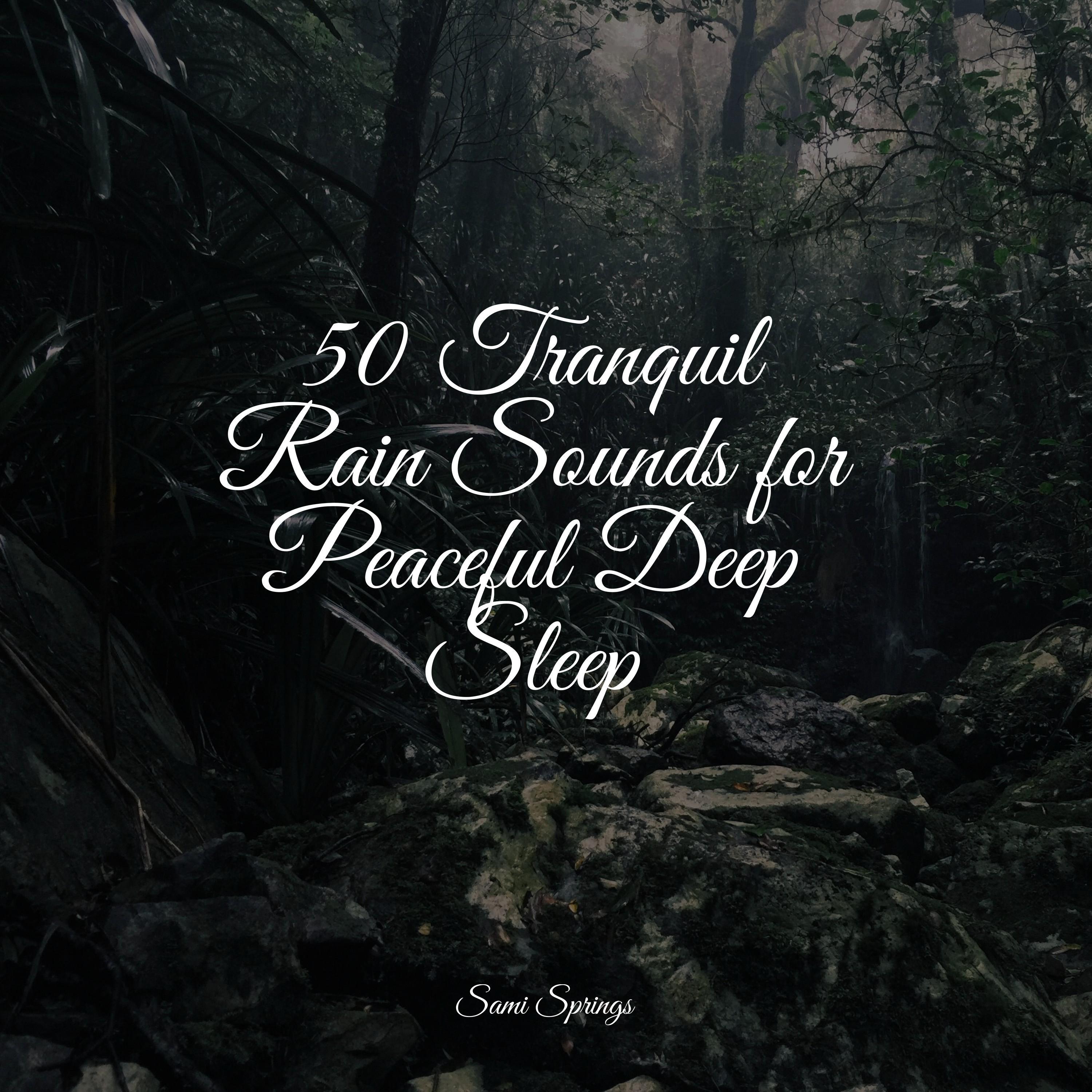 Calm Forest, Bird Calls, Morning - Guided Meditation/Music to Relax in ...