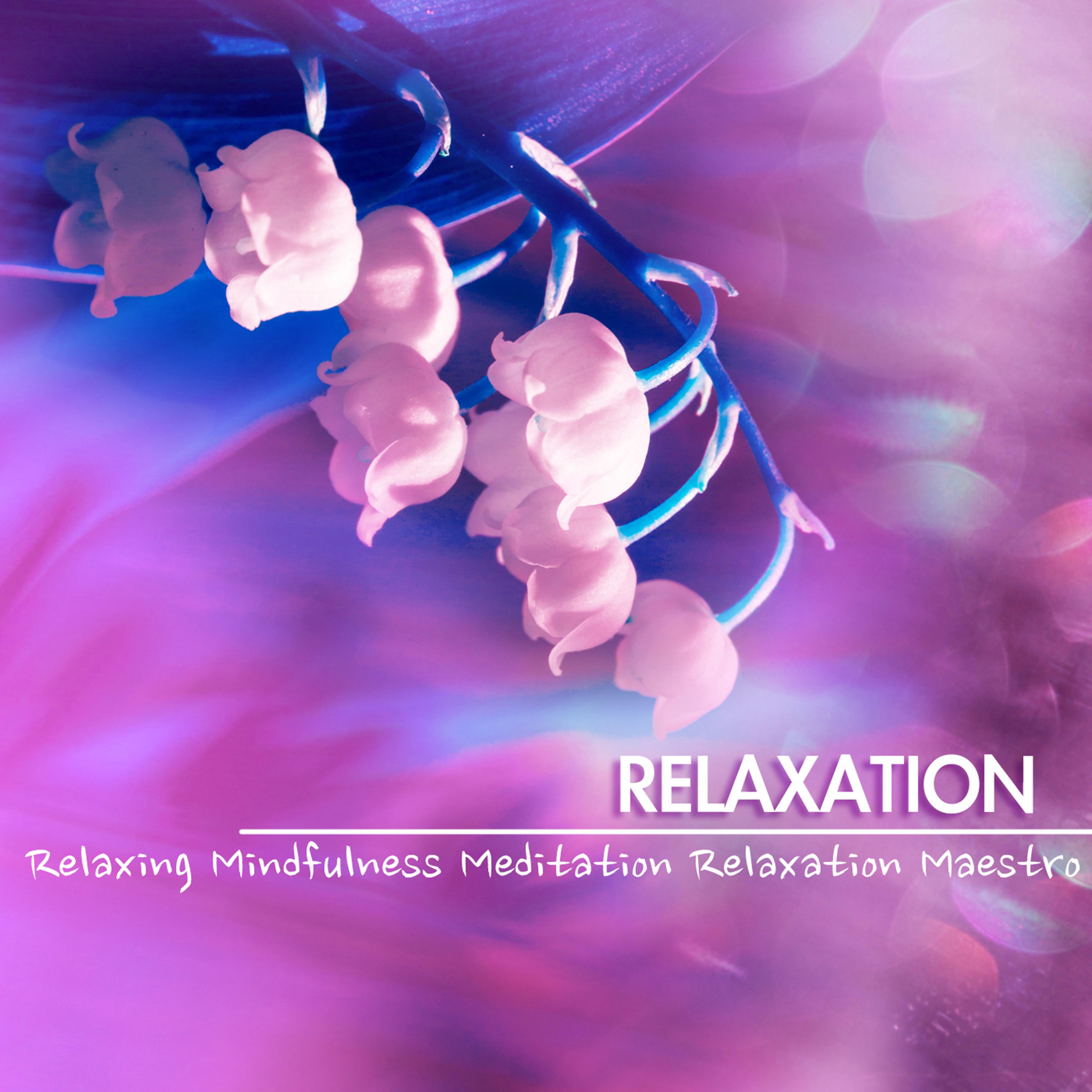 Night in the Fields (Zen Meditation Music) - Relaxing Mindfulness Meditation Relaxation Maestro ...