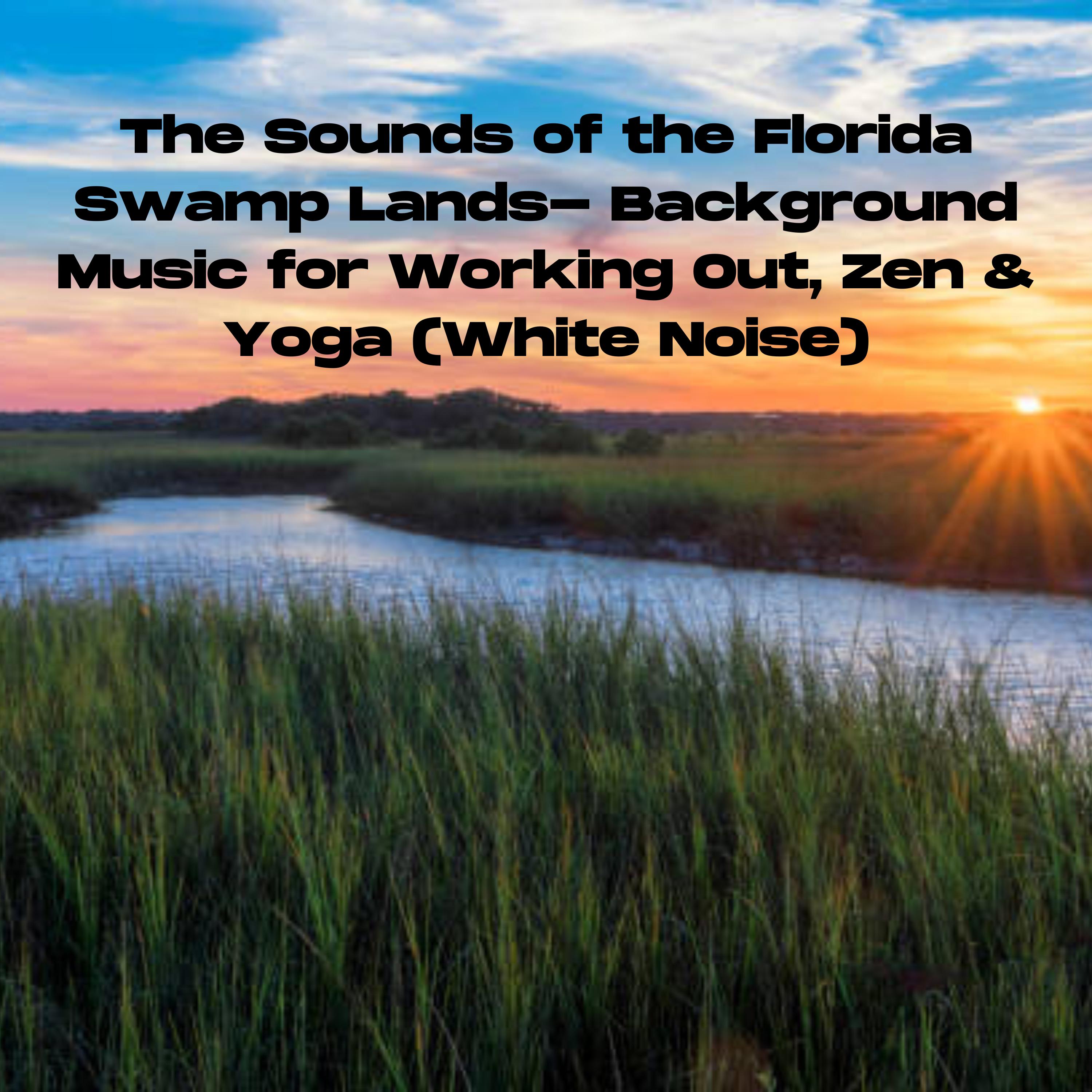 The Sounds of the Florida Swamp Lands- Background Music for Working Out, Zen & Yoga (White Noise ...