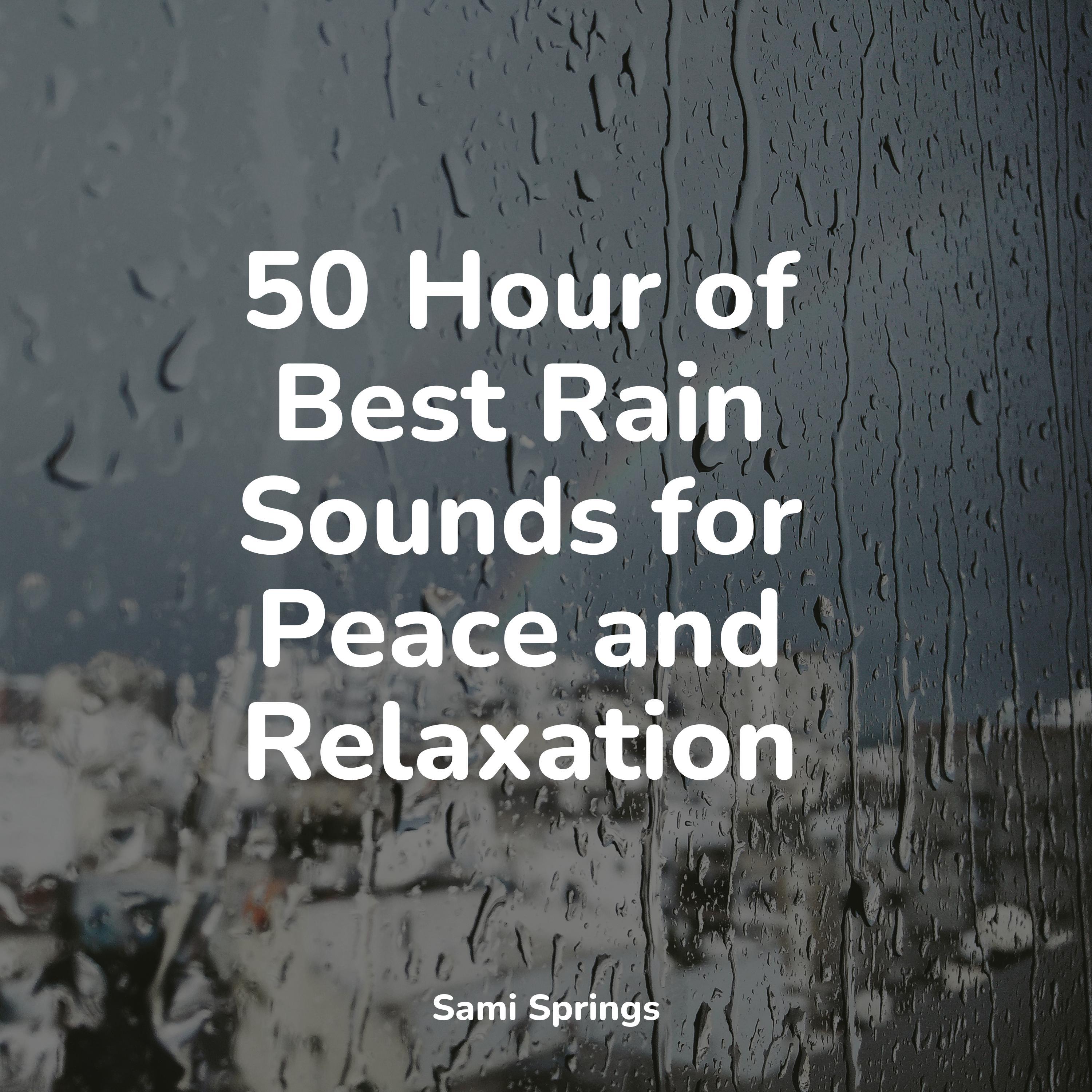 Soothing River Life Sounds Nature Tranquility Spa Universe Nature