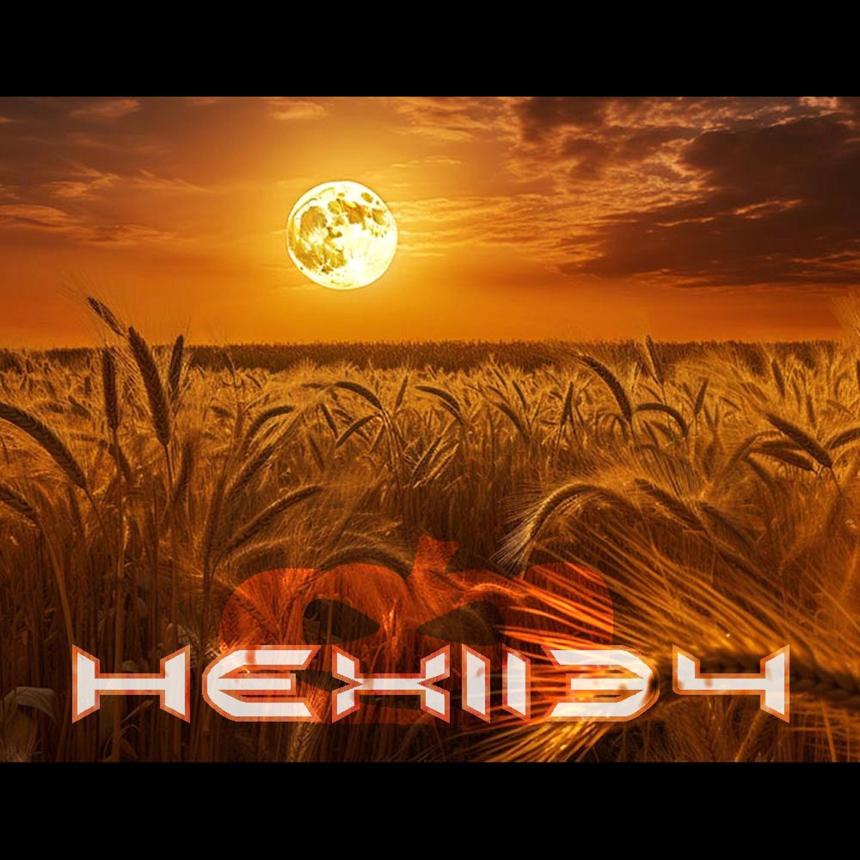 Autumnmatic - Hex1134 - 专辑 - 网易云音乐