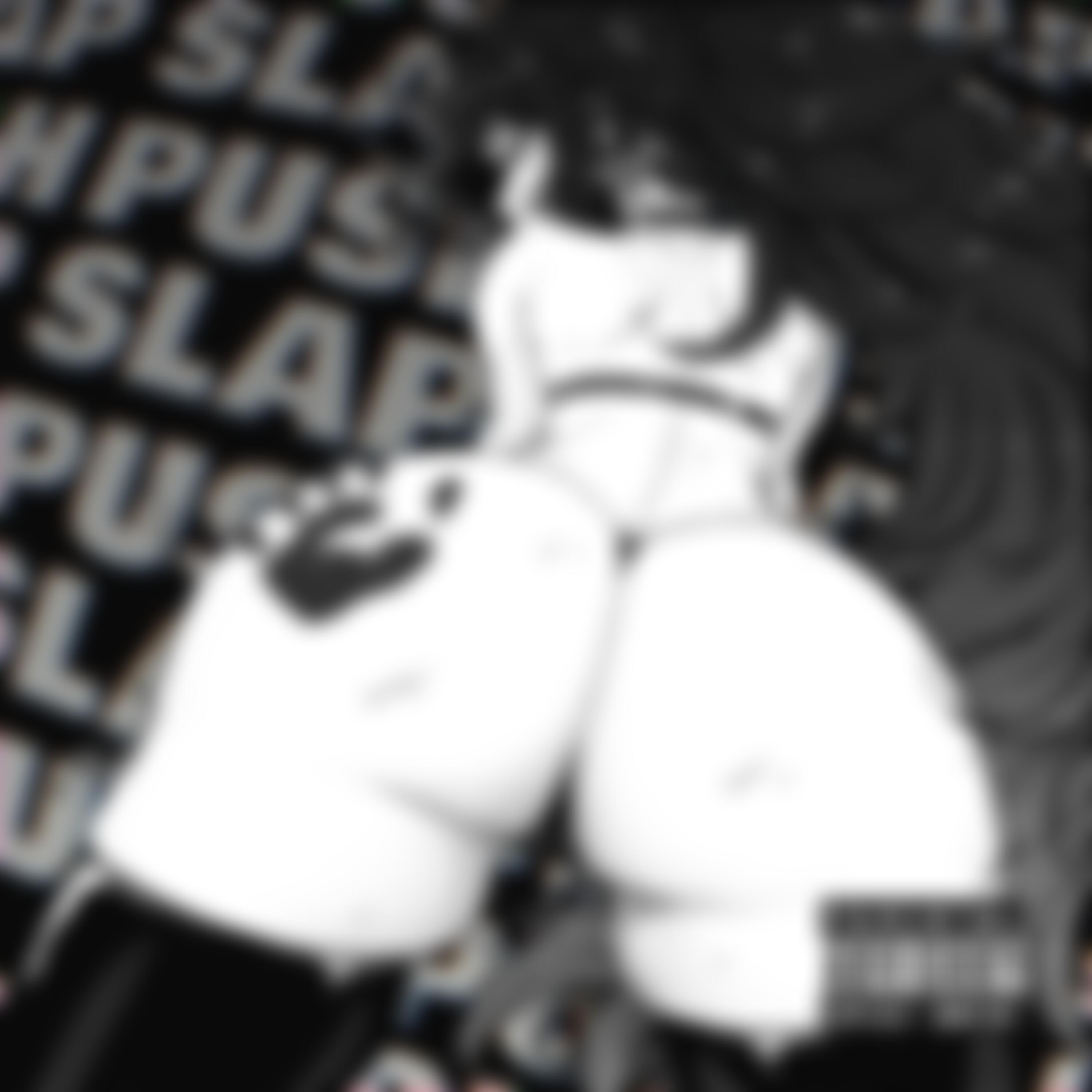 PUSH/SLAP (feat. YUMPRINCESS & NOODLE) - YUMMYNOODZ/YUMPRINCESS/Noodle - 单曲 - 网易云音乐