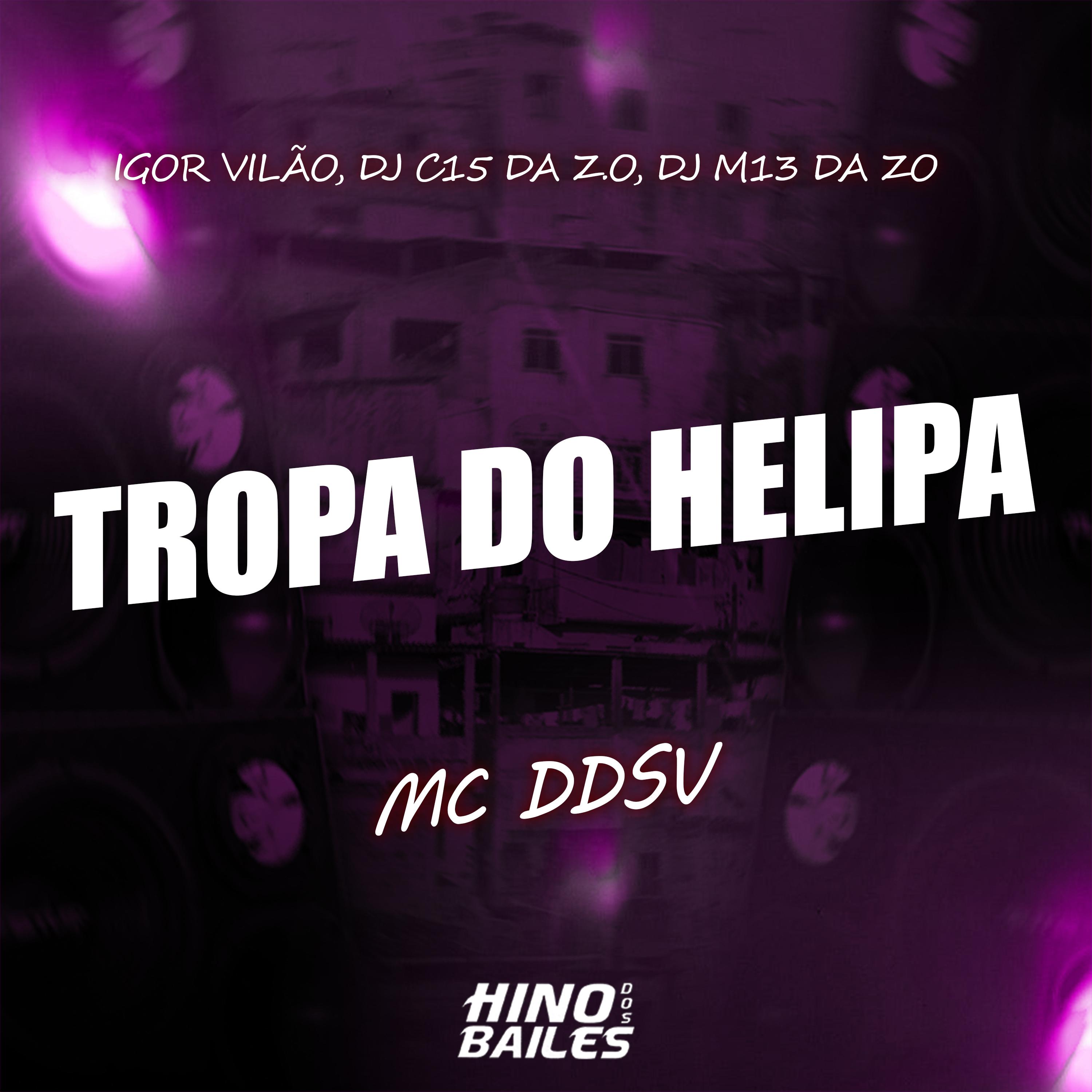 Tropa do Helipa - DJ M13 DA ZO - 专辑 - 网易云音乐