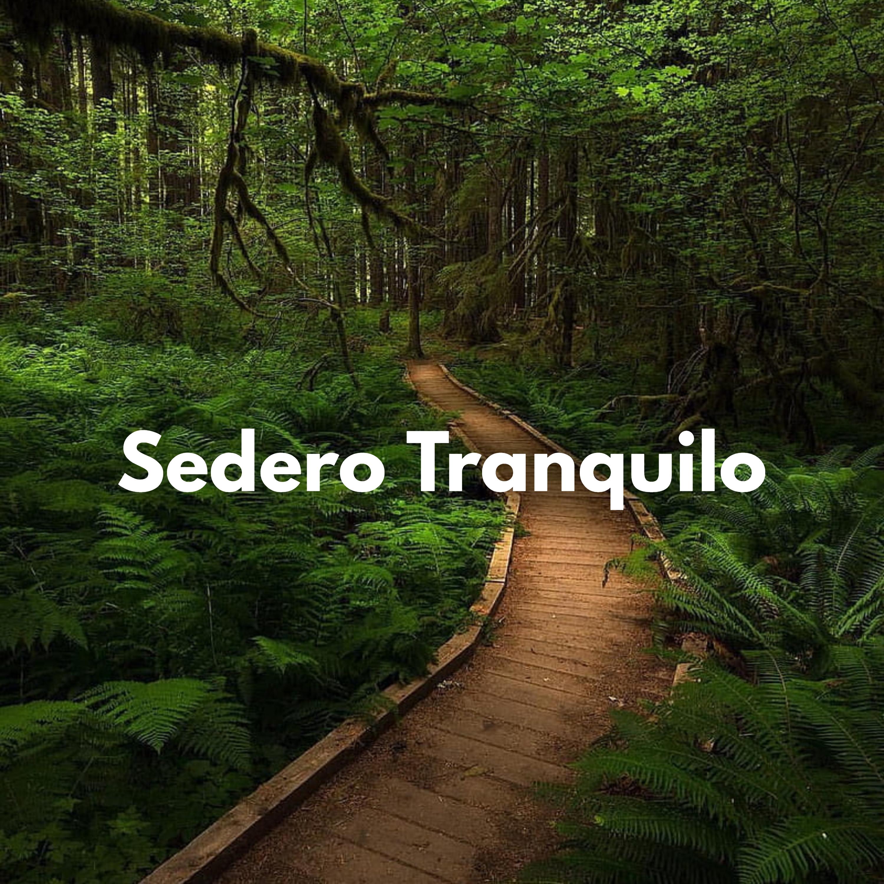 Sedero Tranquilo - ADM Records - 单曲 - 网易云音乐