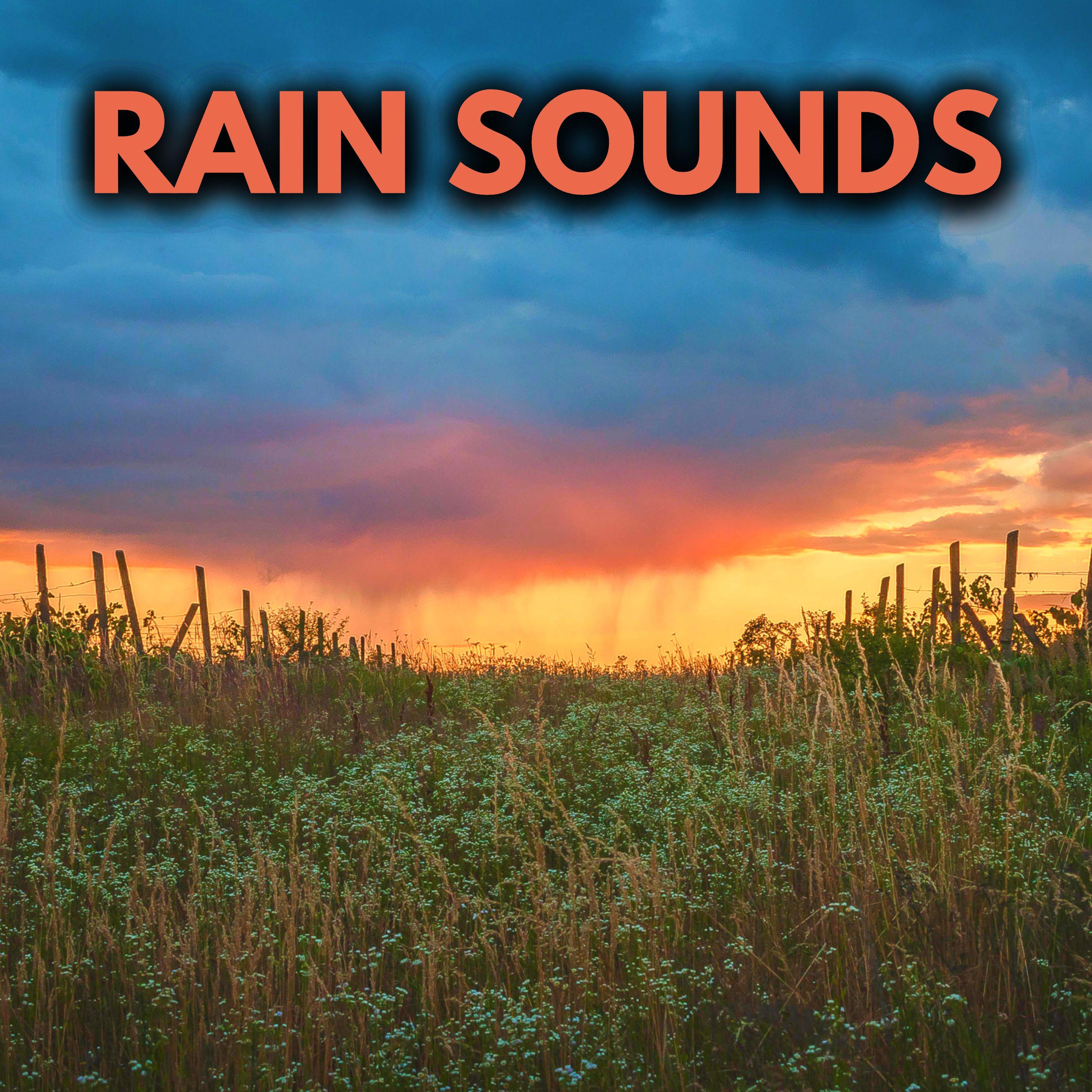 Meditative Rain Shower Sounds - Nature Sounds for Sleep and Relaxation/White Noise For Sleeping ...