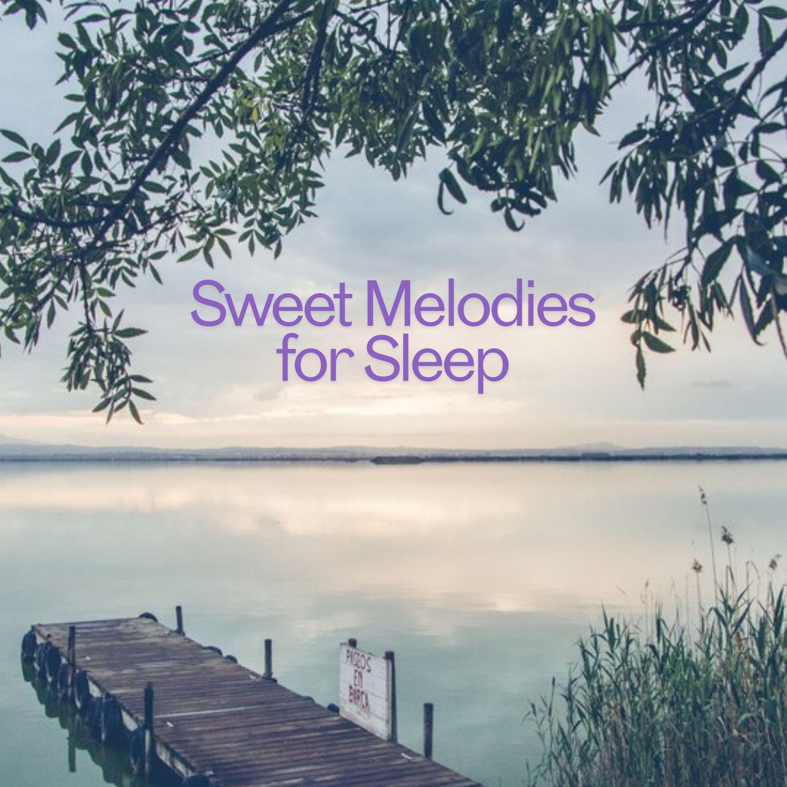 Calming Daily Routine - symphony orchestra sound sun beach sand summer ...