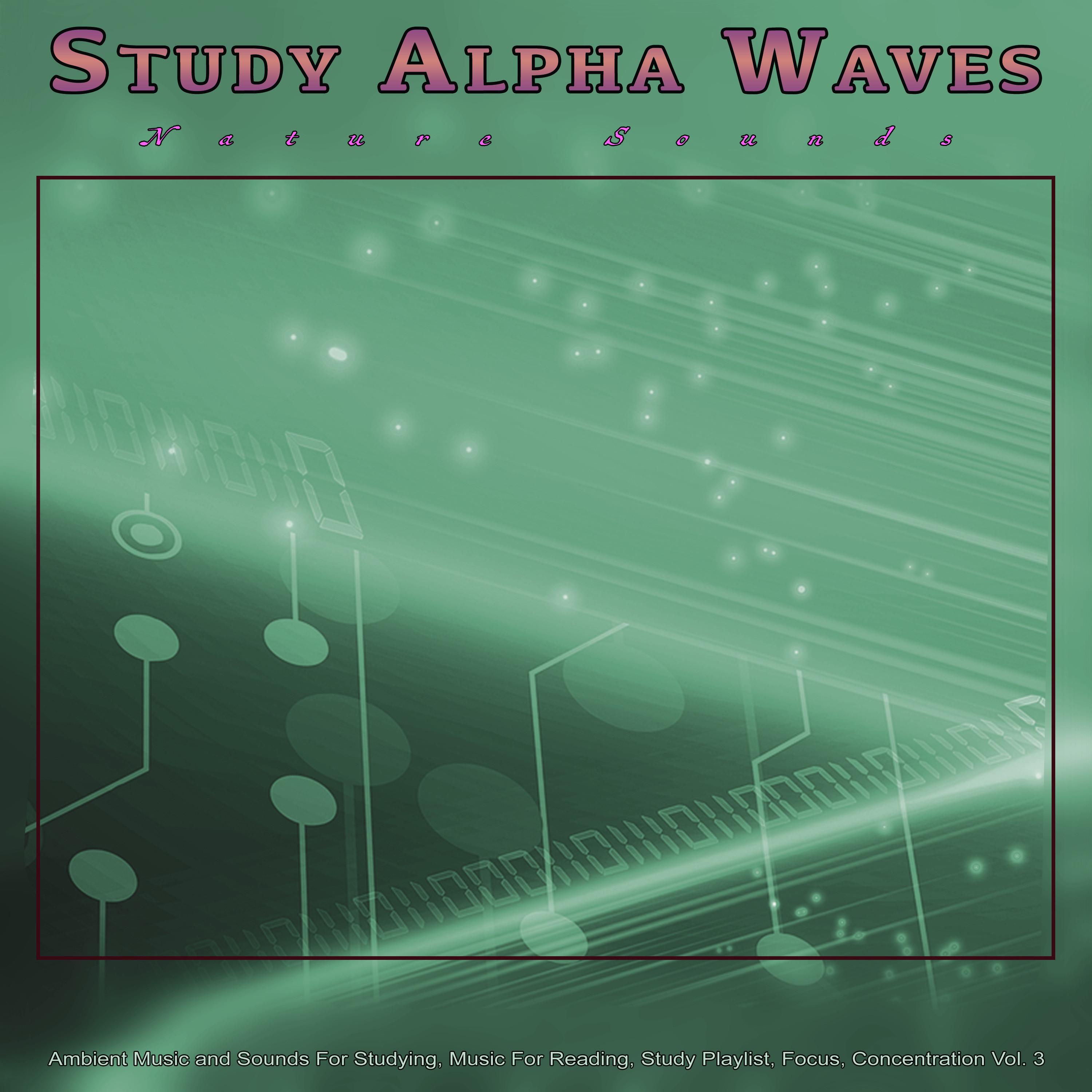 Study Alpha Waves - Nature Sounds - Ambient Music and Sounds For Studying, Music For Reading ...