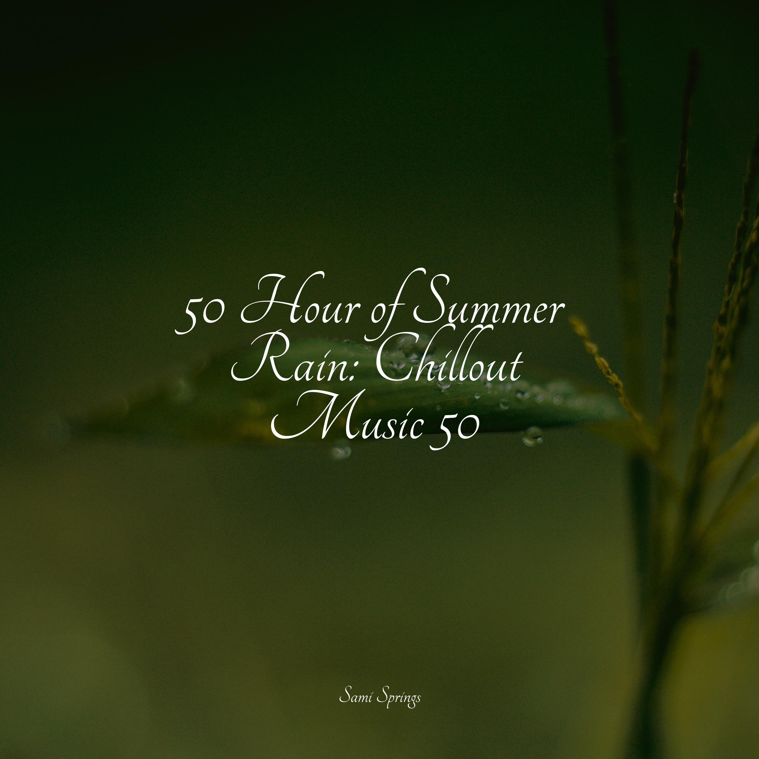 Midrange Seafloor Waves - Musica Romantica/Relajacion Del Mar/Meditation Rain Sounds - 单曲 - 网易云音乐