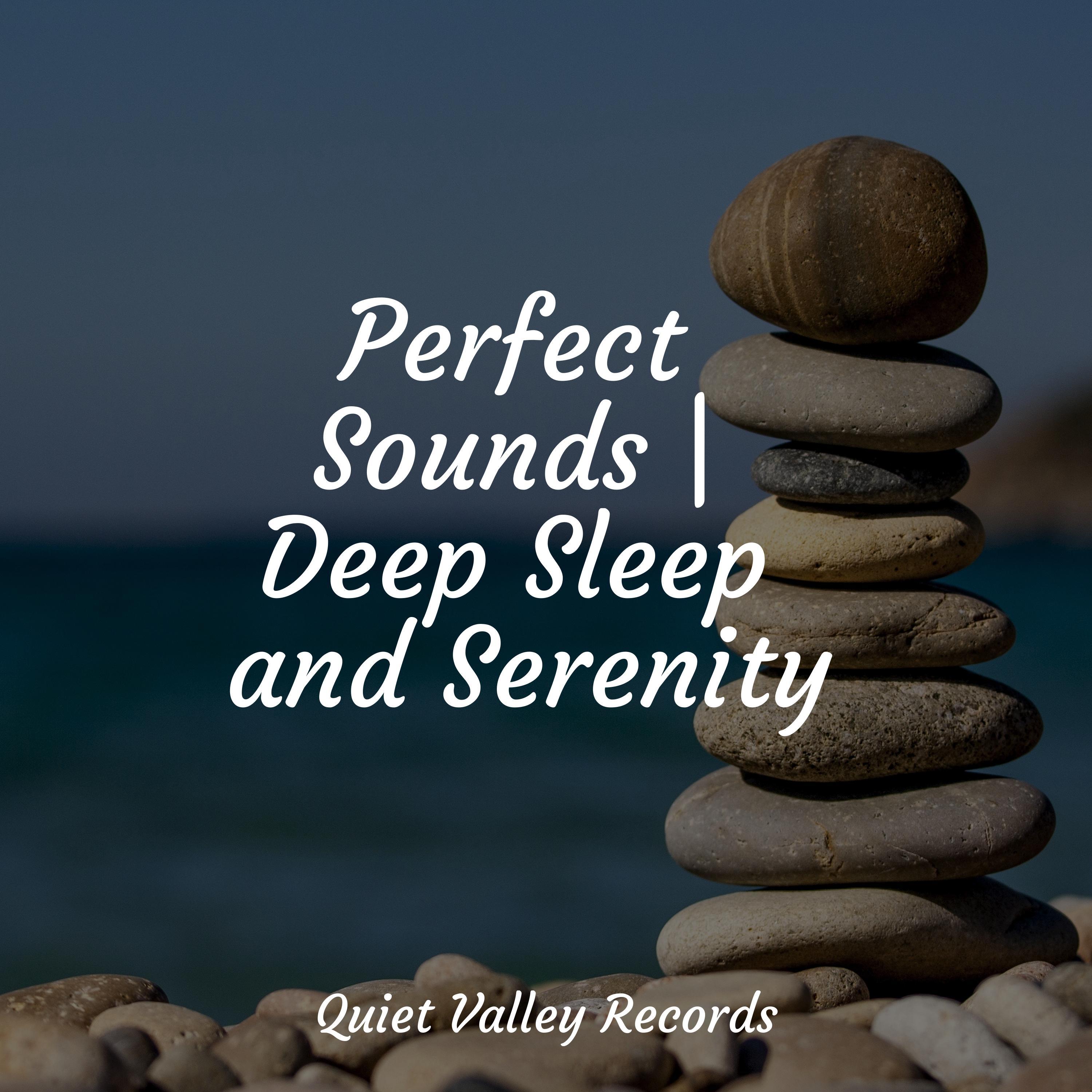 Perfect Sounds | Deep Sleep and Serenity - 125 Nature Sounds - 专辑 - 网易云音乐