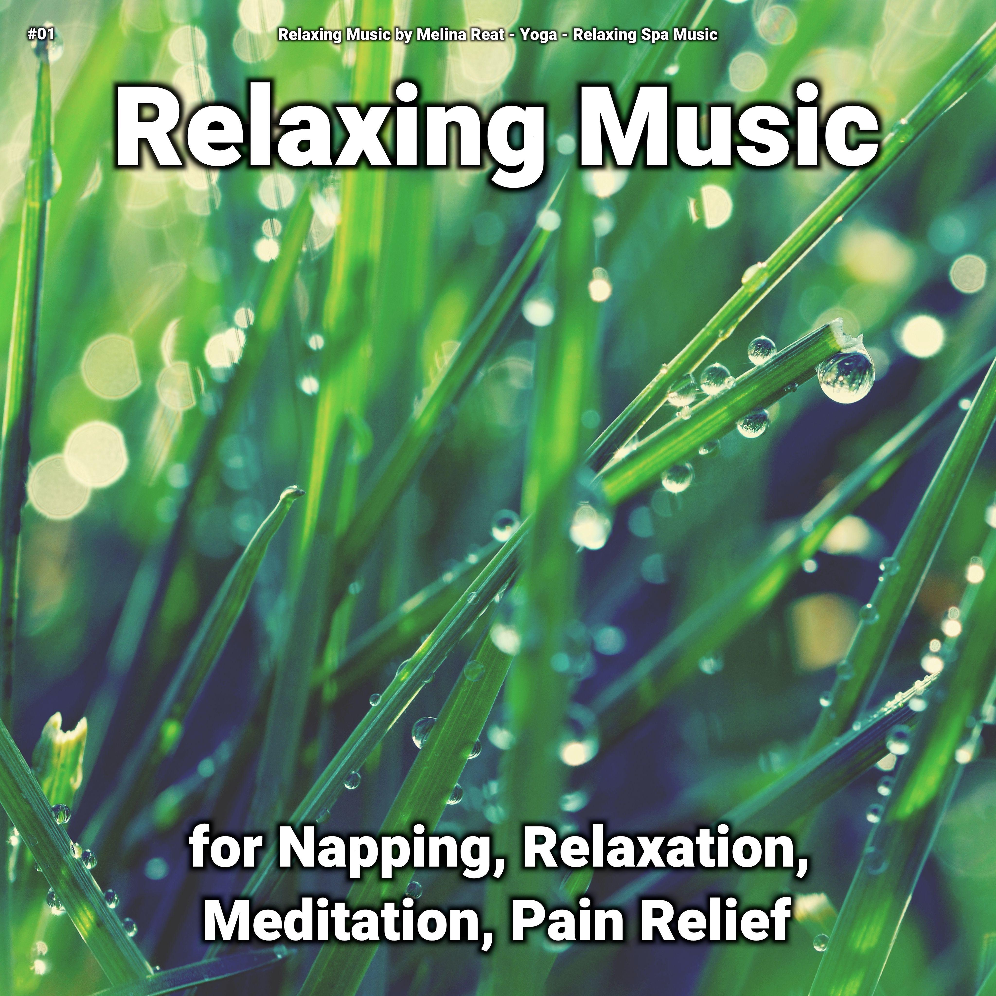 Relaxing Music, Pt. 19 - Relaxing Music by Melina Reat/Yoga/Relaxing Spa Music - 单曲 - 网易云音乐