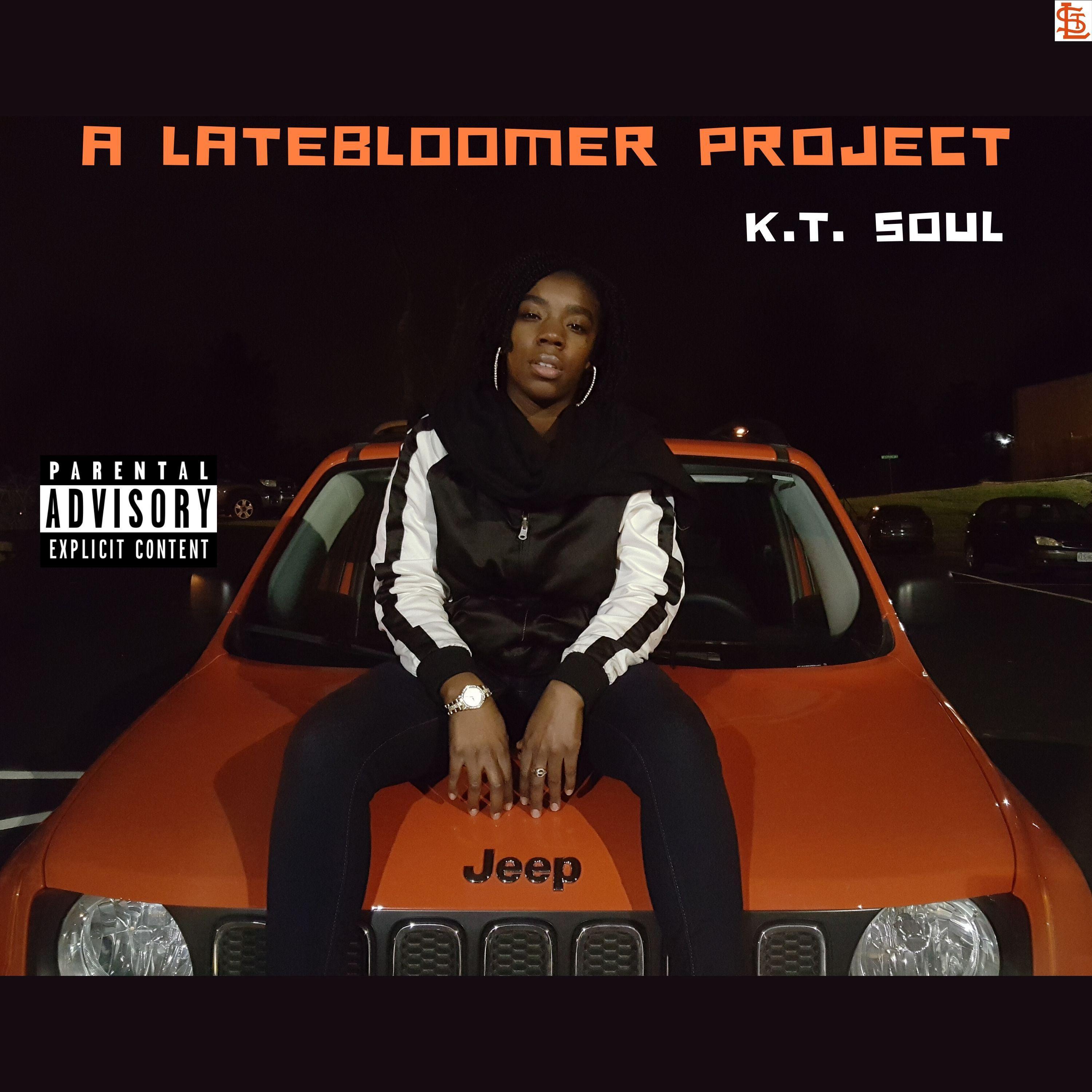 A Latebloomer Project - K.T. Soul - 专辑 - 网易云音乐