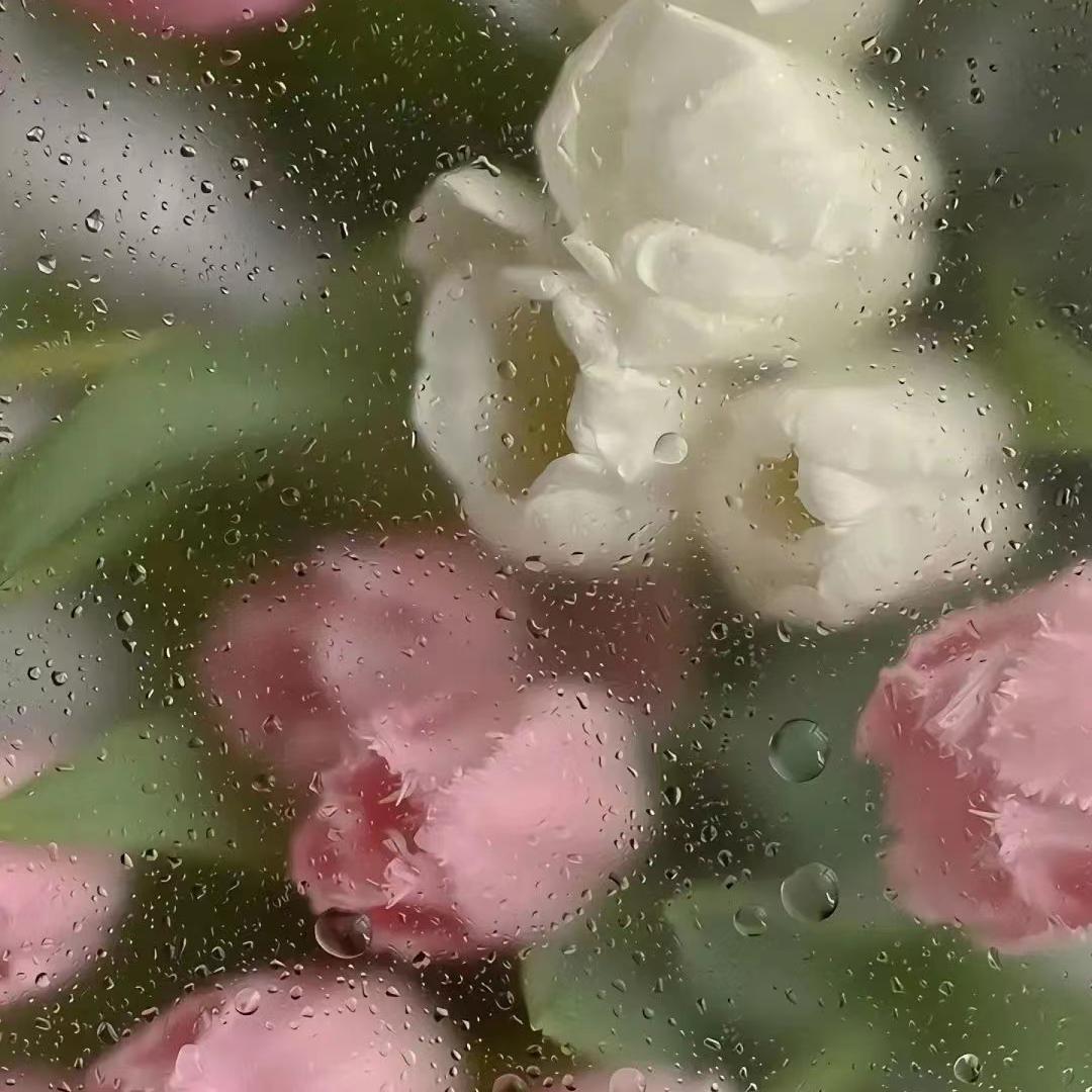 Forest Mixtape(Tsuki) - Elba Green - 单曲 - 网易云音乐