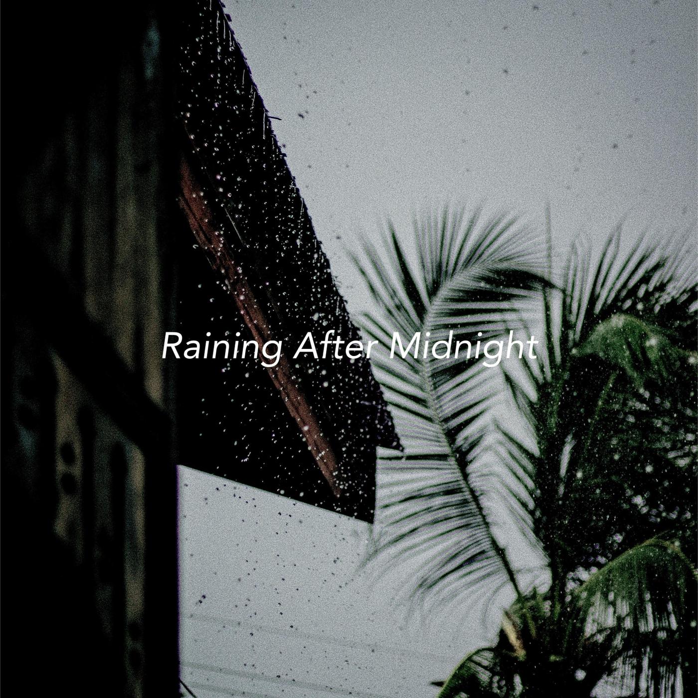 Raining After Midnight - Natural Rain - 专辑 - 网易云音乐